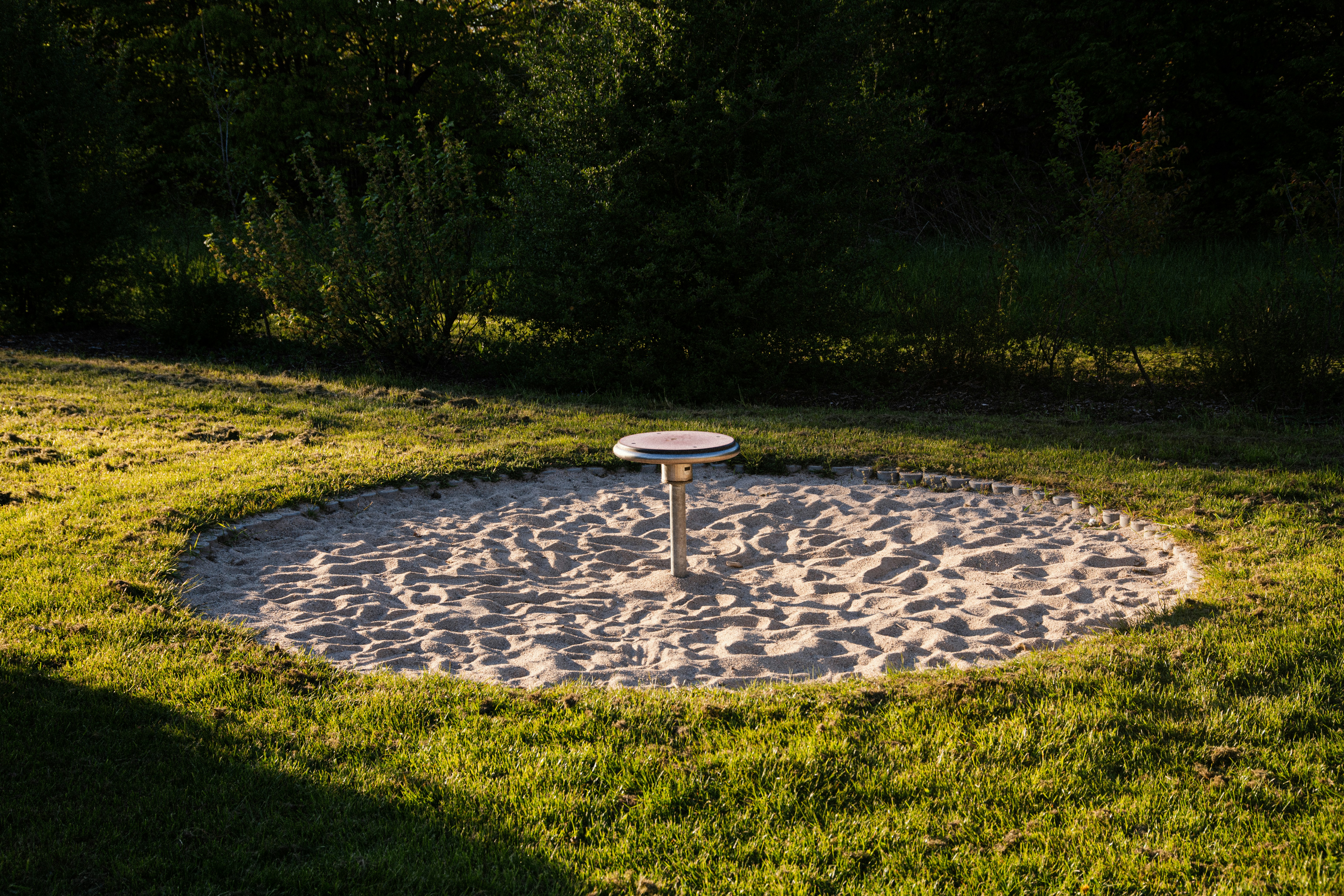 Centerpiece Sand Circle: A Quiet Playground in Dappled Light