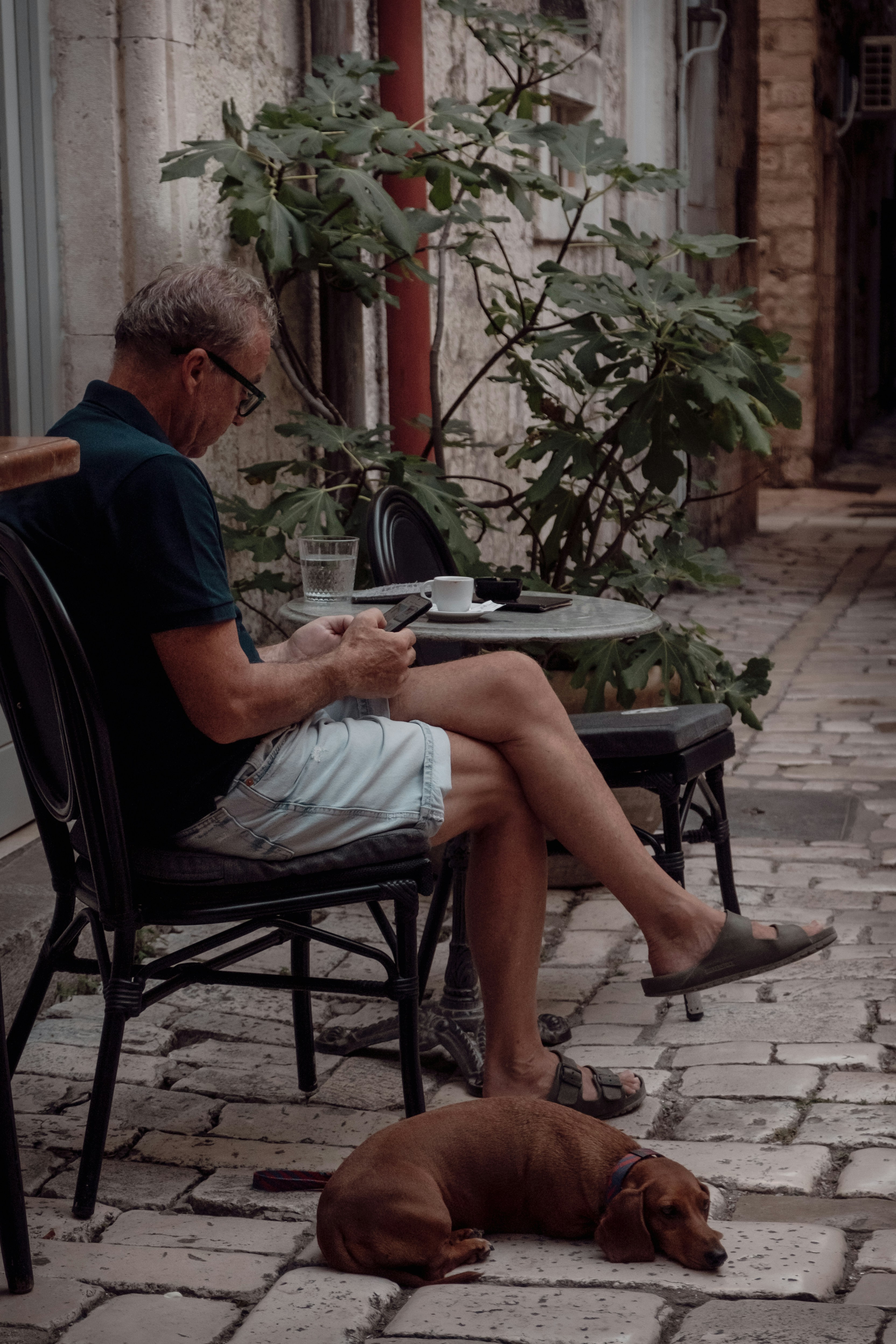 Cafe Corner: A Quiet Moment with man, dog, and steam of a cup