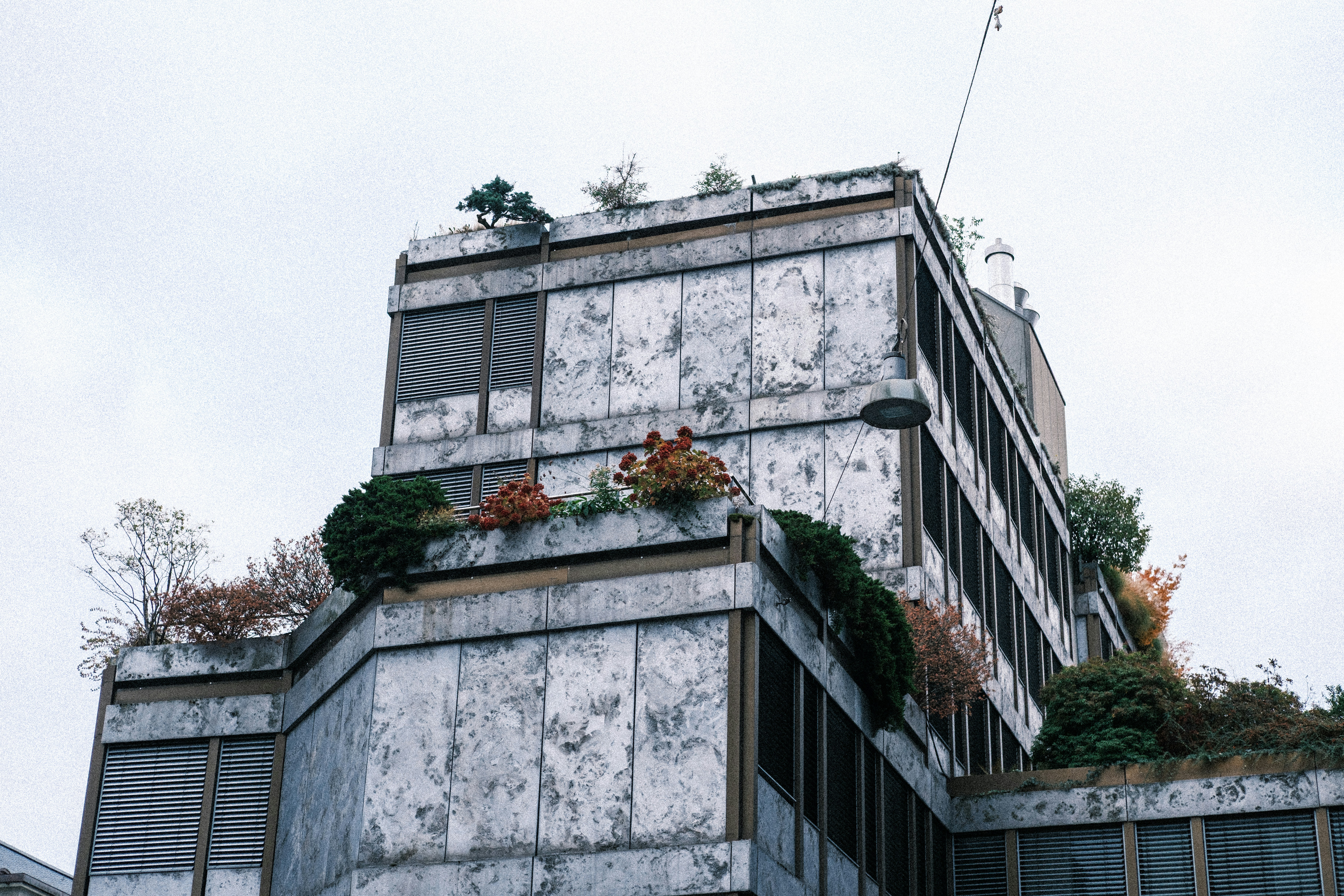 Urban Concrete Terrace: A Tiered Building Overrun with Verdant Stubs