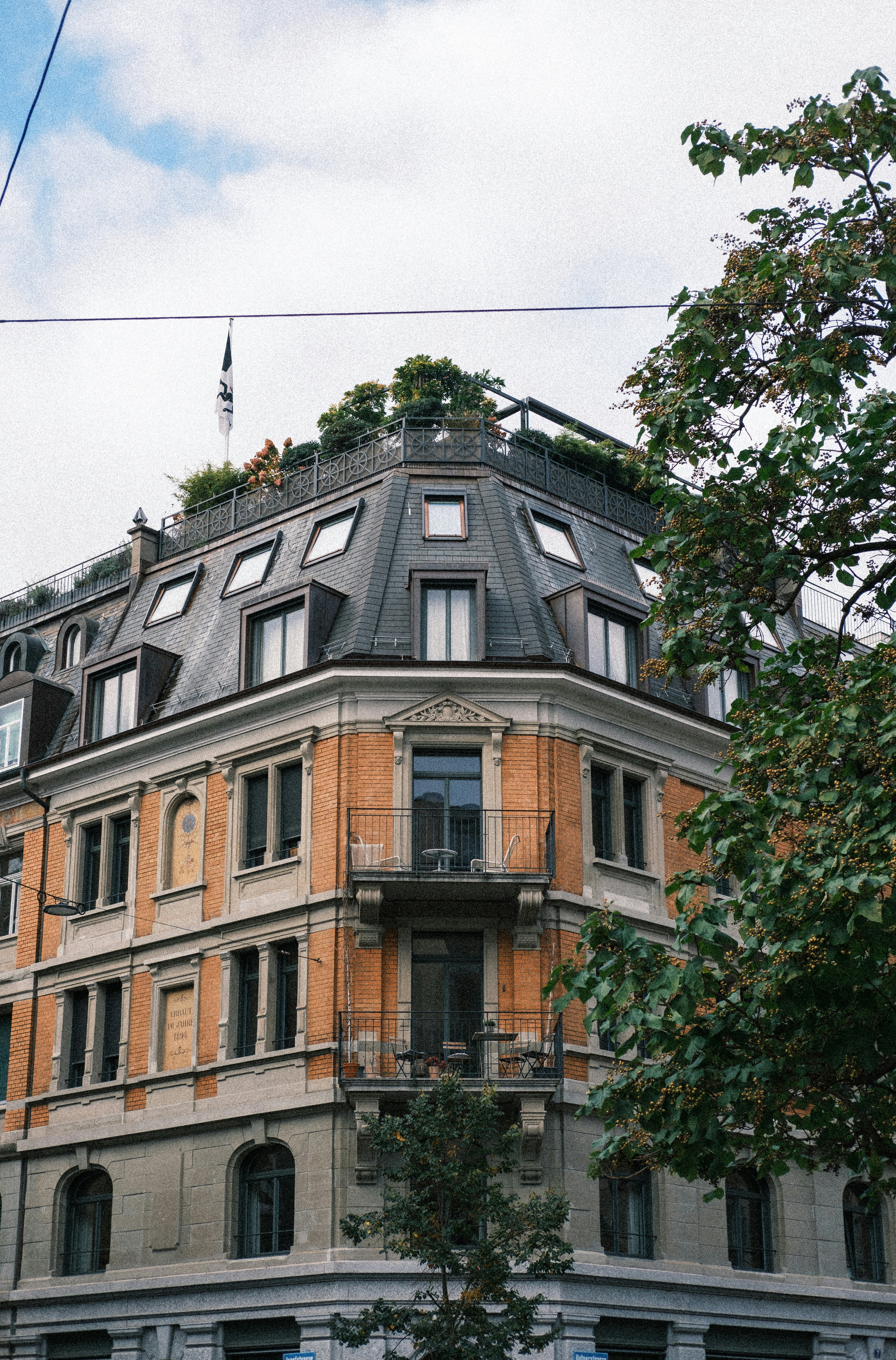 Historic Cornerstone: A European Façade Rising Above Tree Line