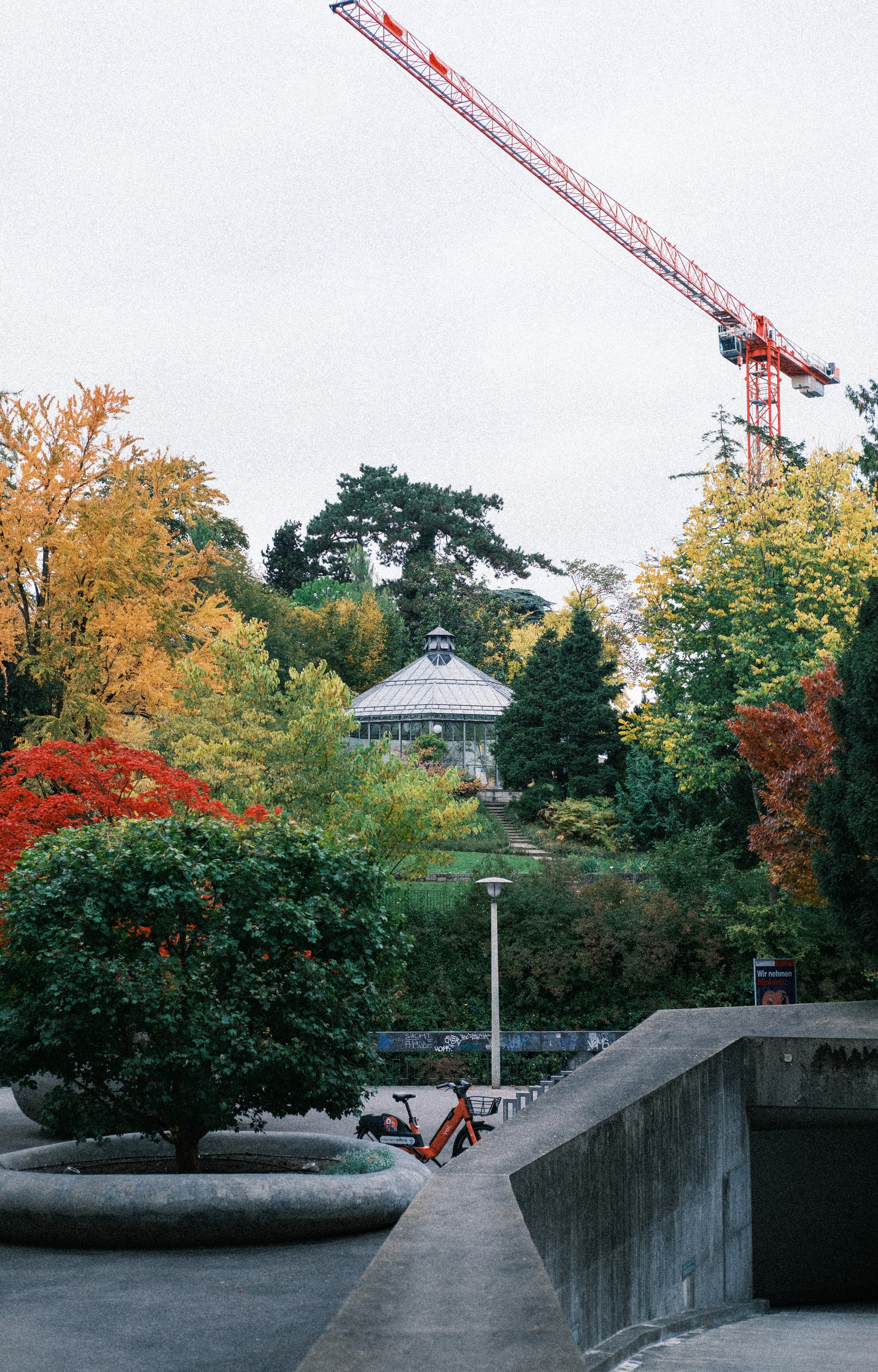 Autumn Garden under a Crane Sky