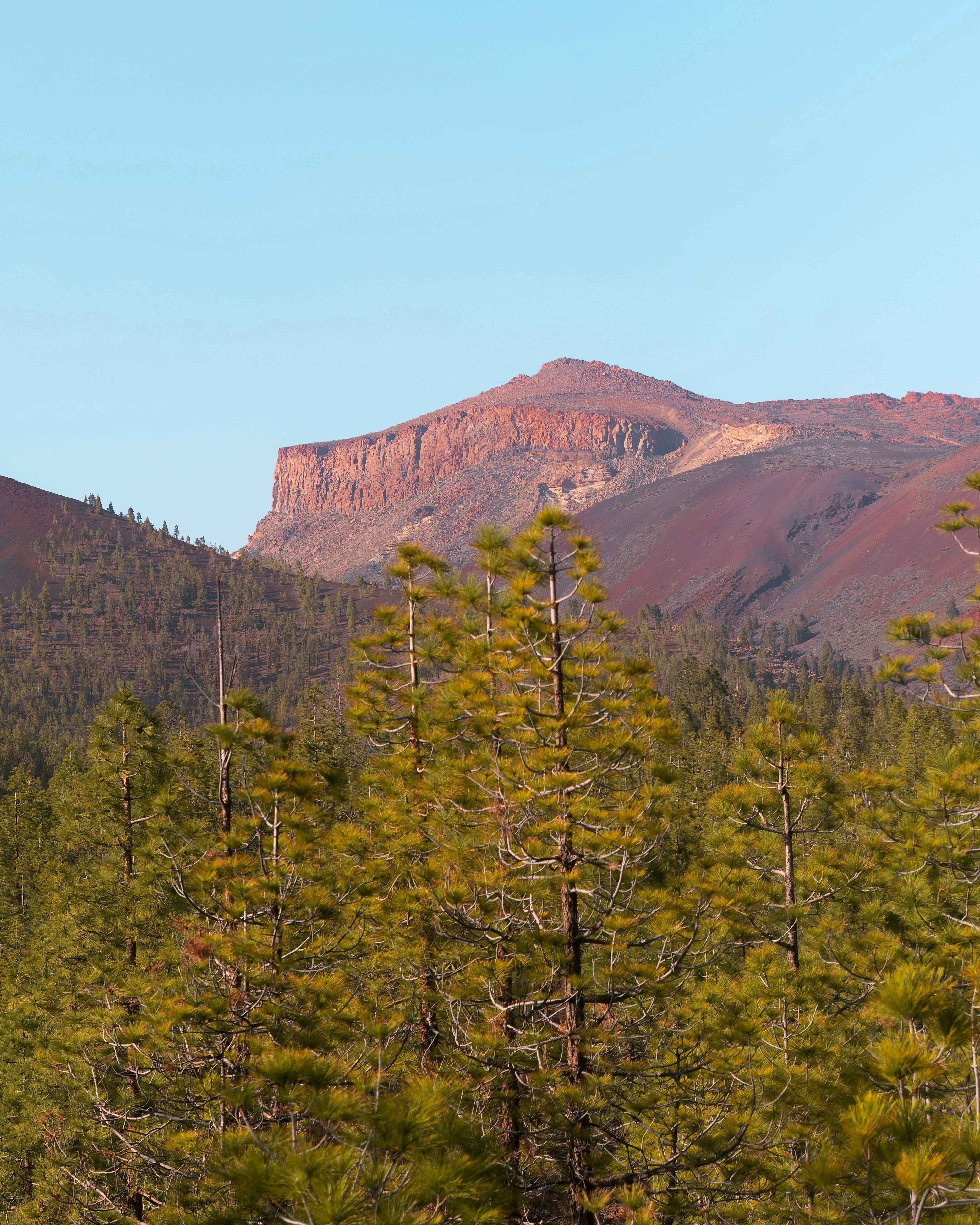 Sunlit Mesa Crowned by Red Rock Overlook