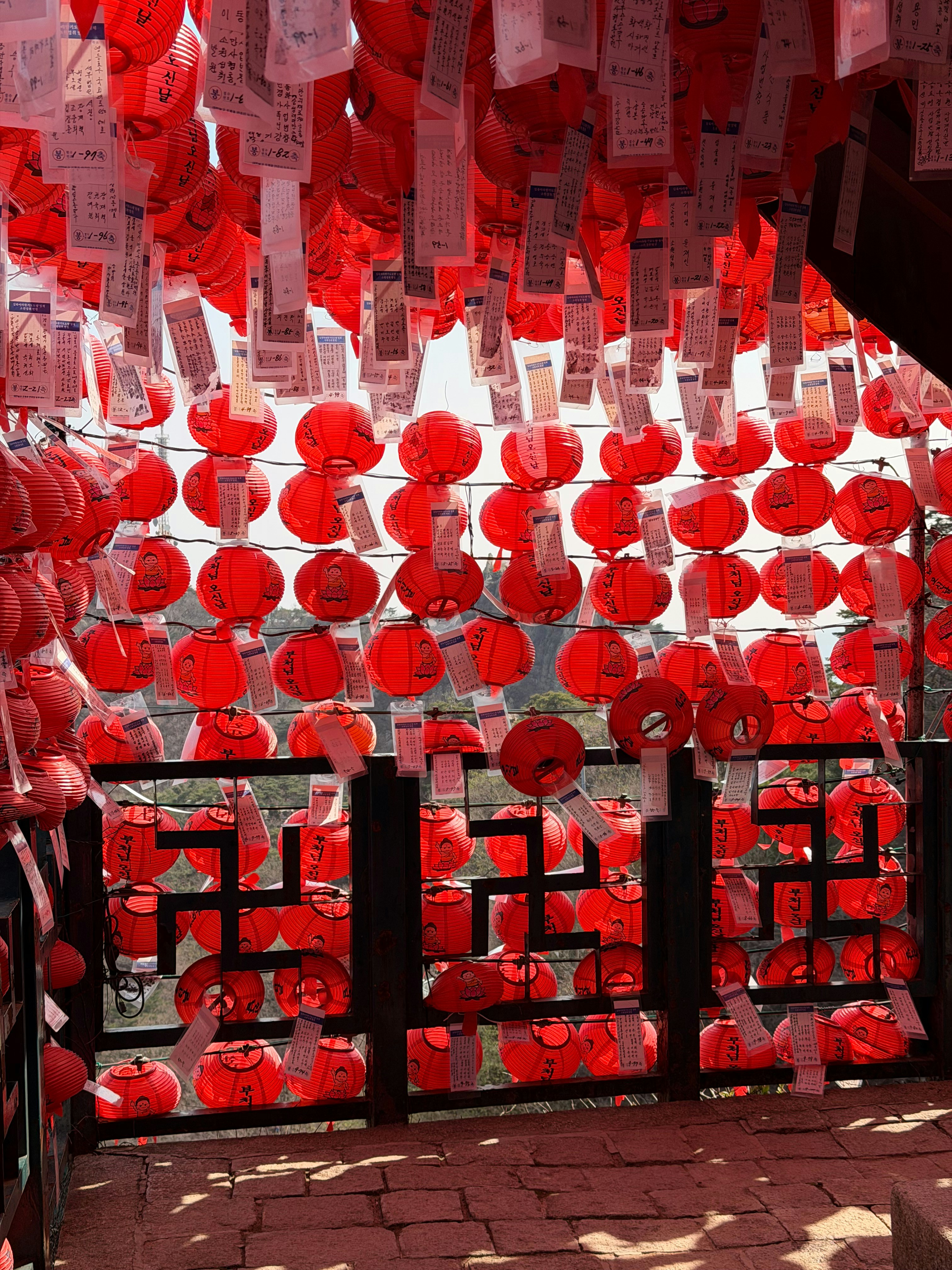 Crimson Wishes: Lanterns and Tags Drifting Above a Silent Courtyard