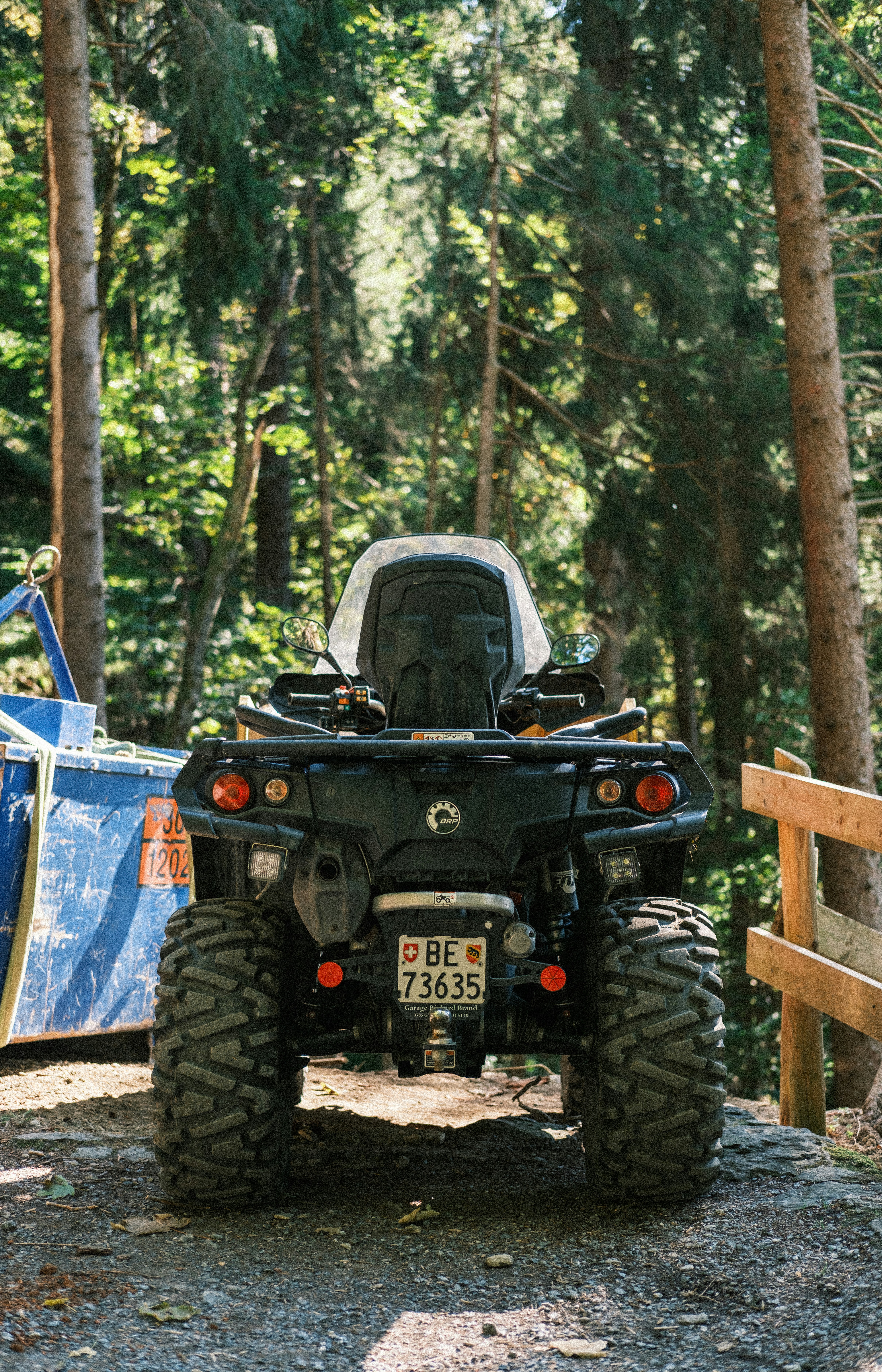 Rear-View ATV in Forest Clearing