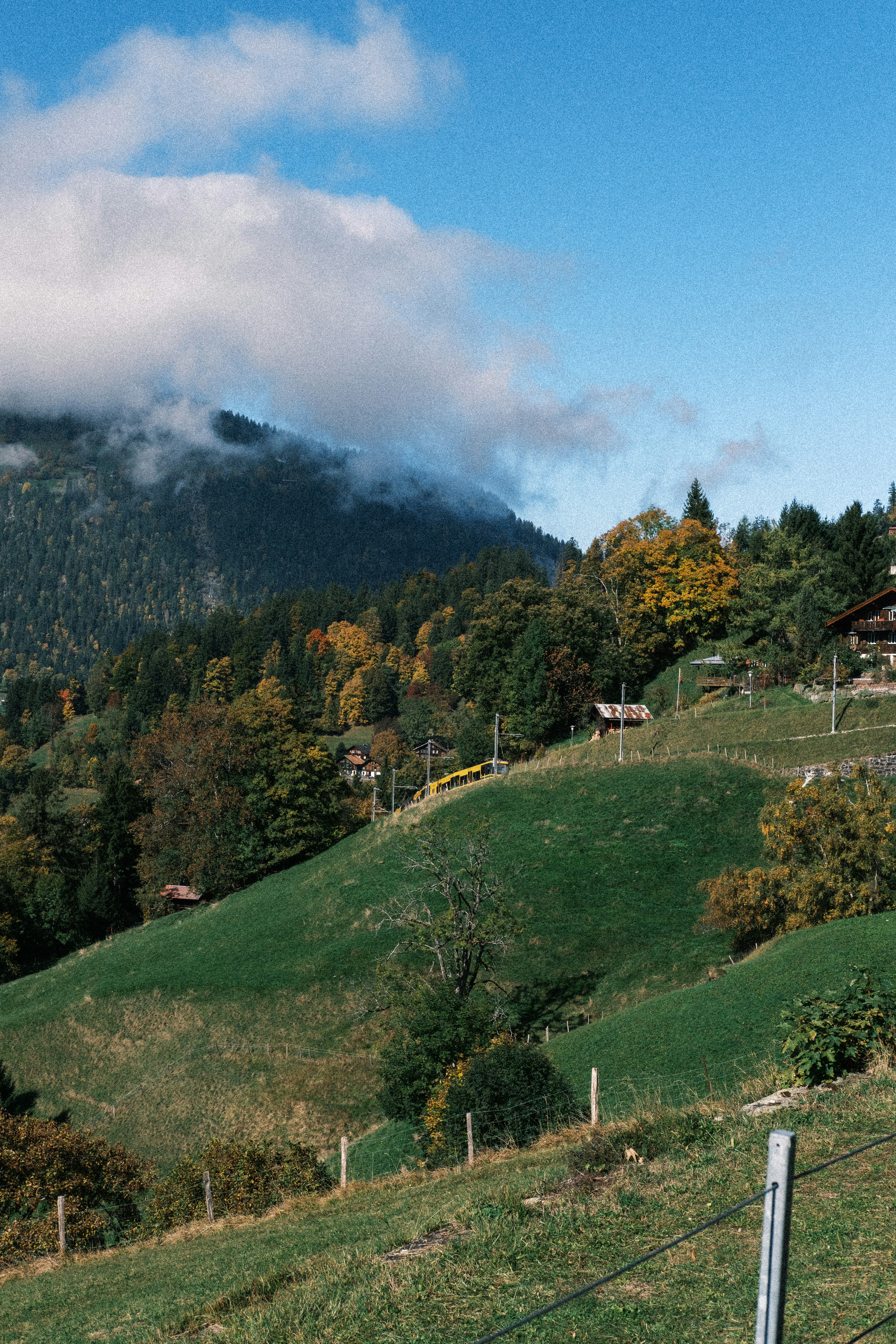 Autumn Hillside Train and Timbered Village