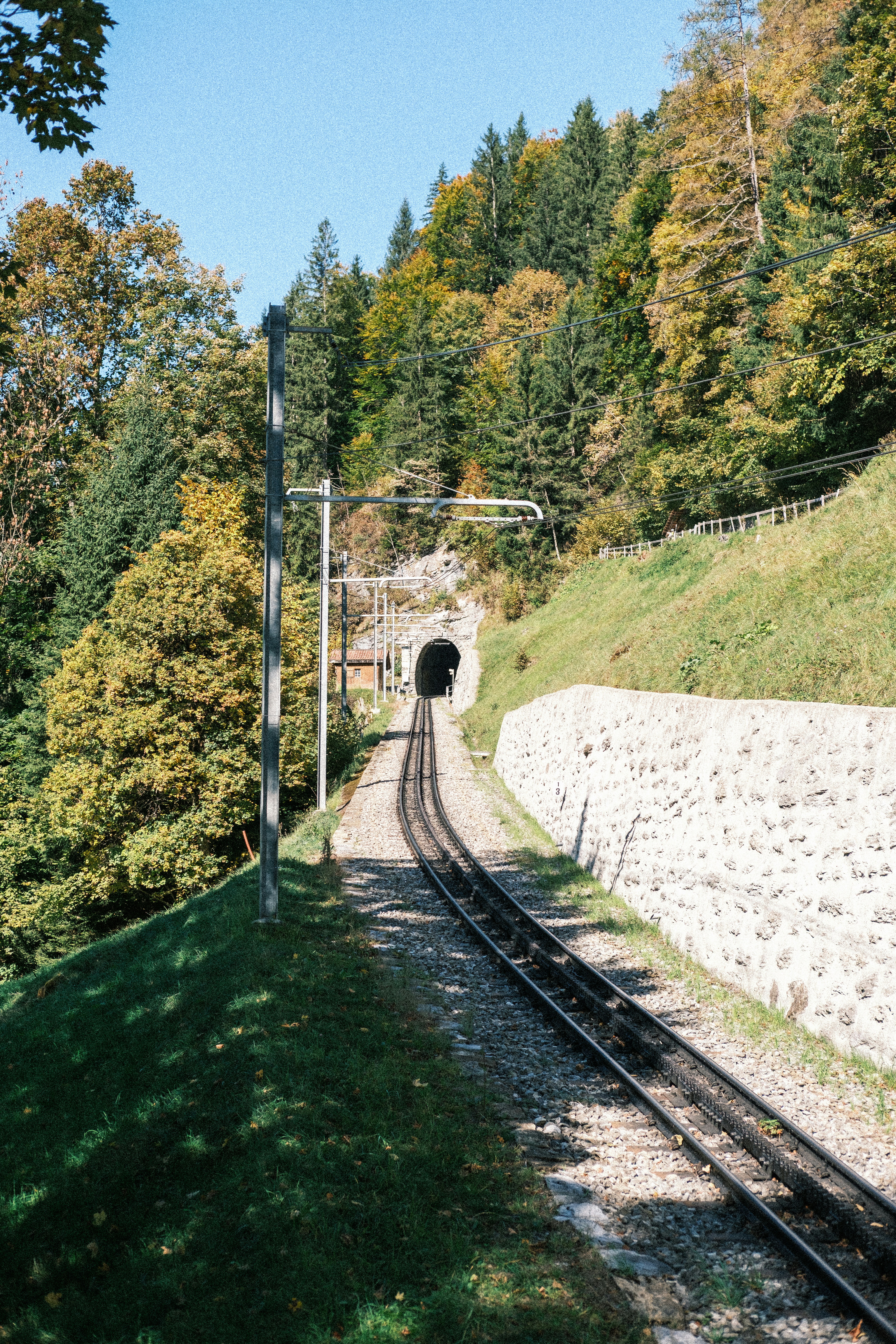 Railway into the Emerald Tunnel: Tracks through the Tree-lined Peak