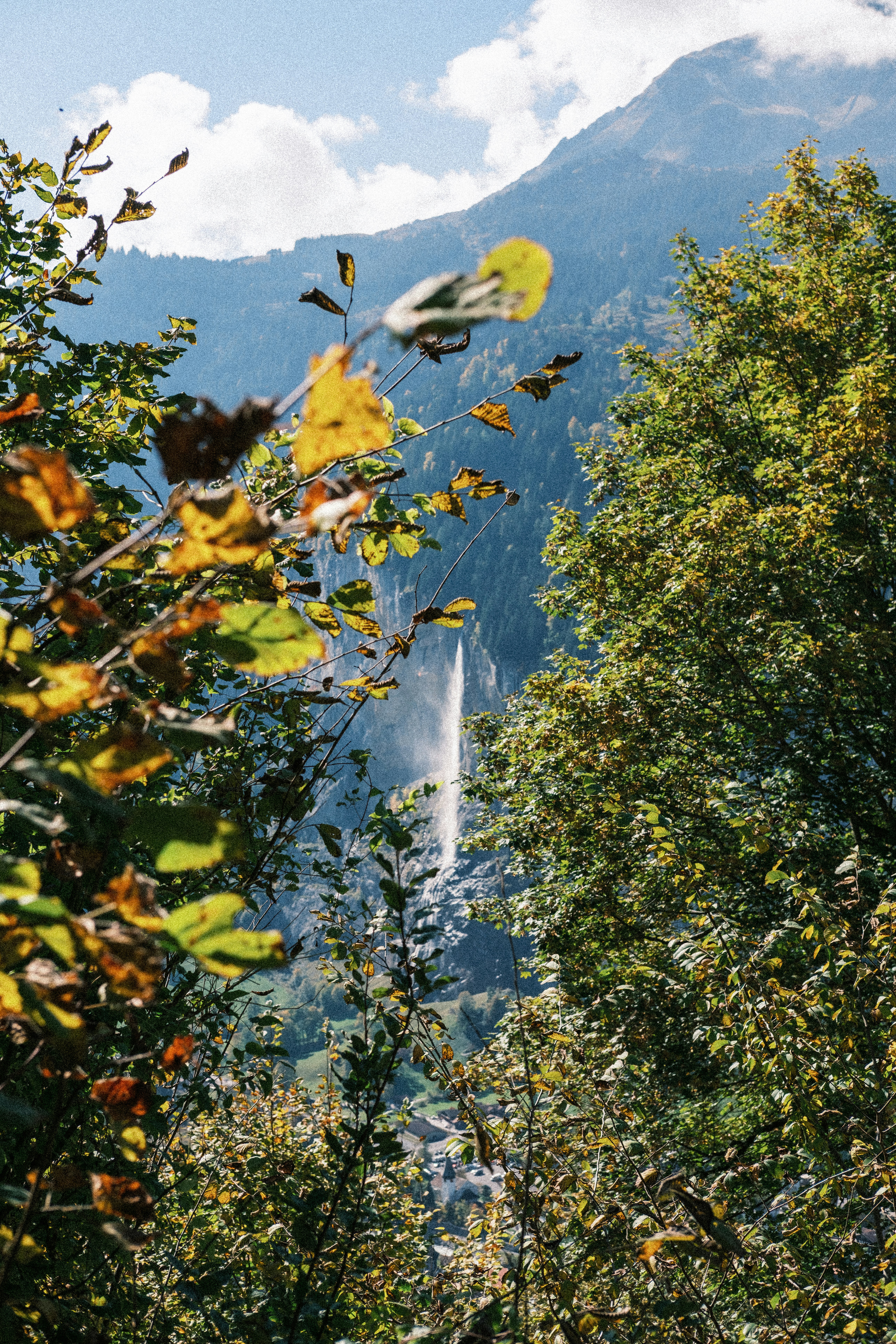 A Cascade Veiled by Foliage: Mountain Stream Beyond the Leaves