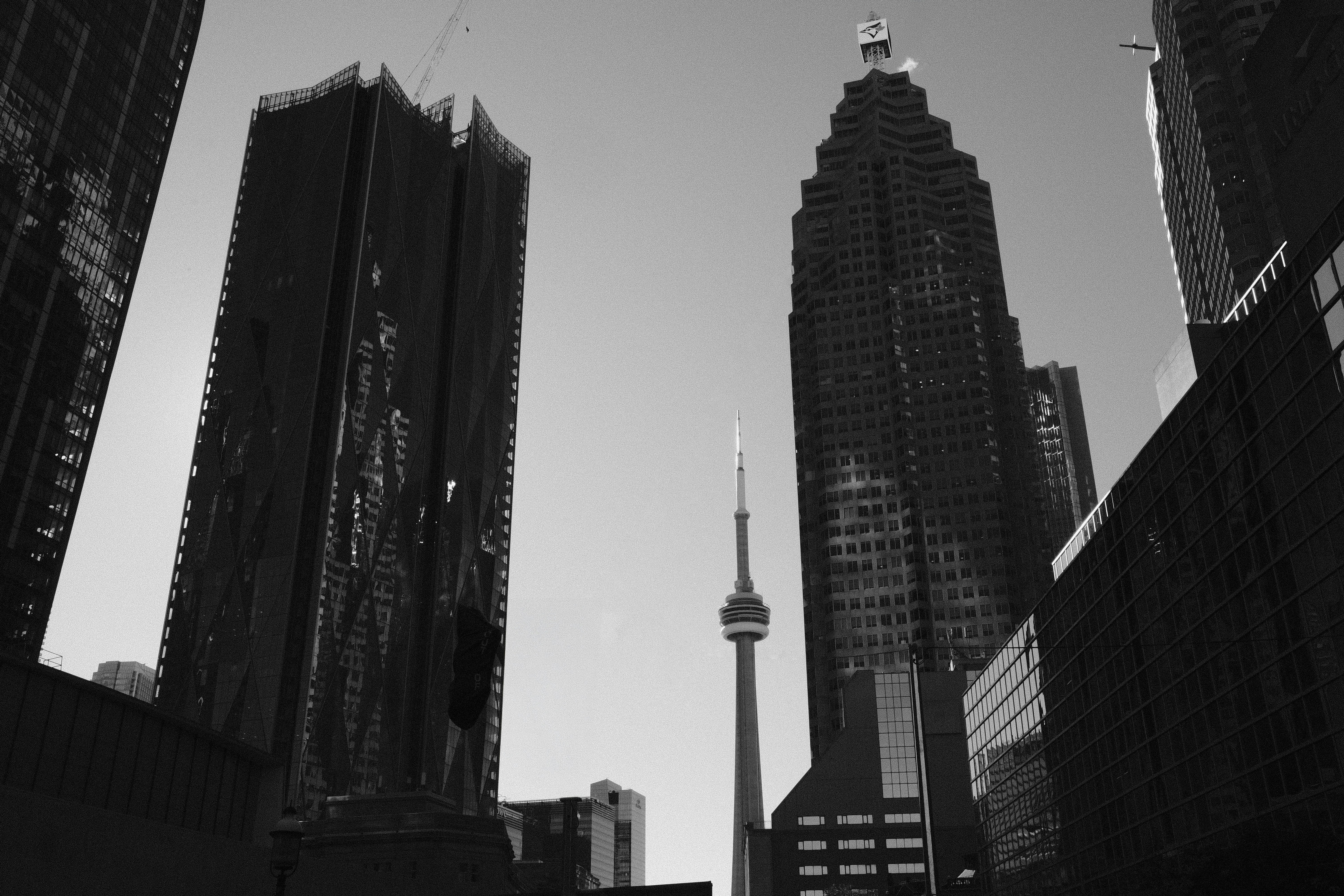 Black and white view of Toronto’s skyline featuring the CN Tower framed by modern skyscrapers, captured from a low angle with a minimal urban aesthetic.