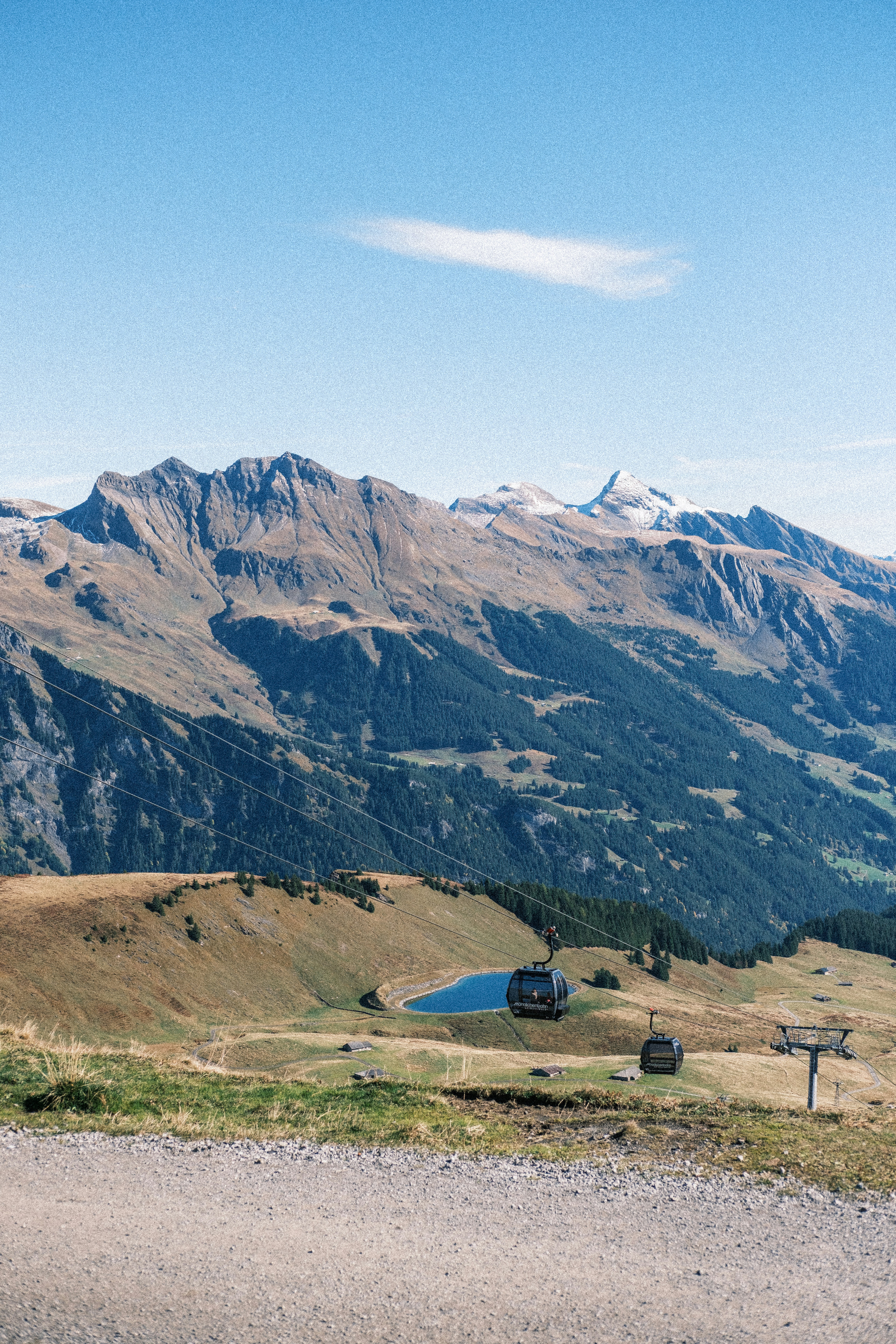 Cable Car Realm: Alpine Ridge Above the Snowline