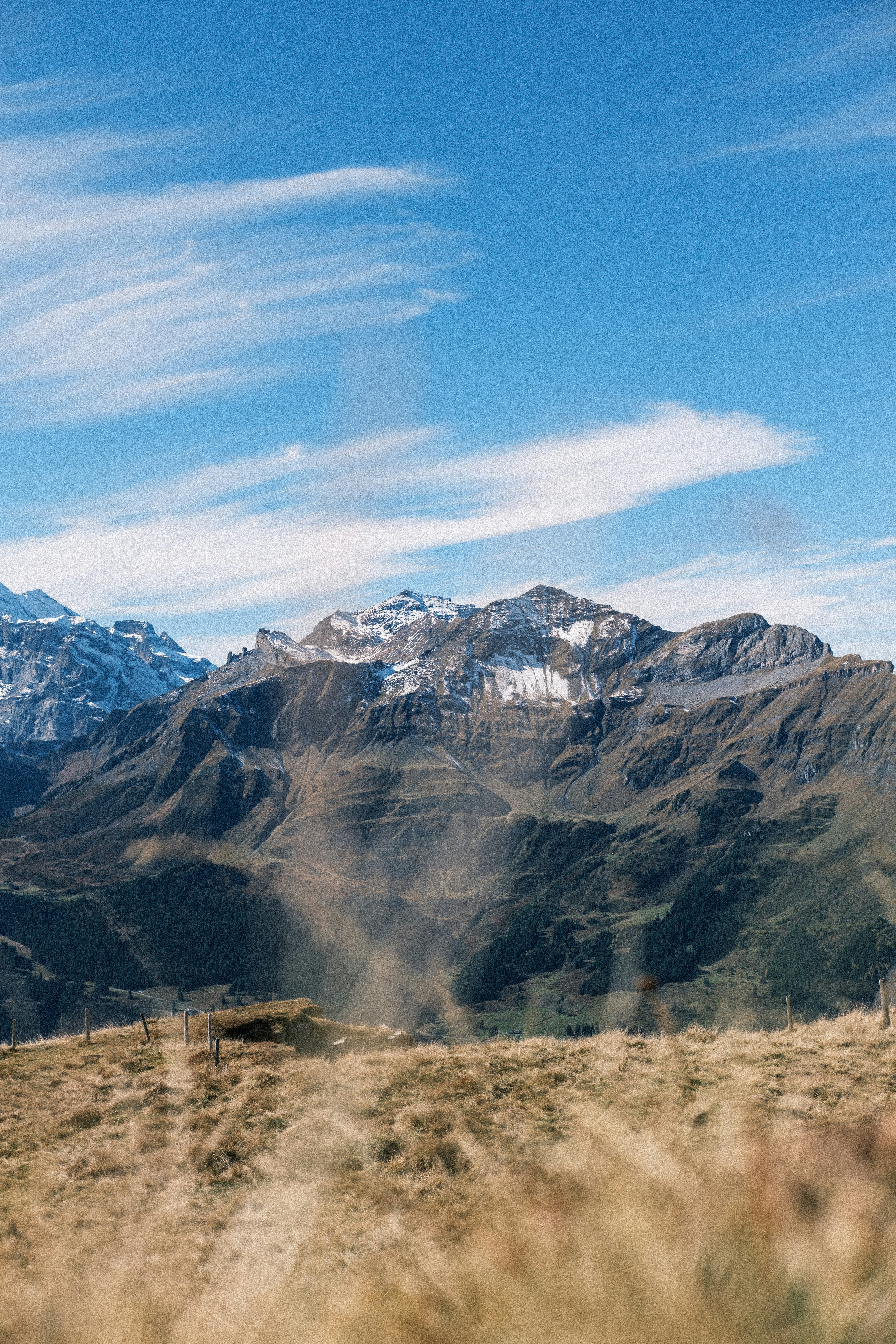 Snow-dusted ridge under a blue sky with alpine grasses in the foreground