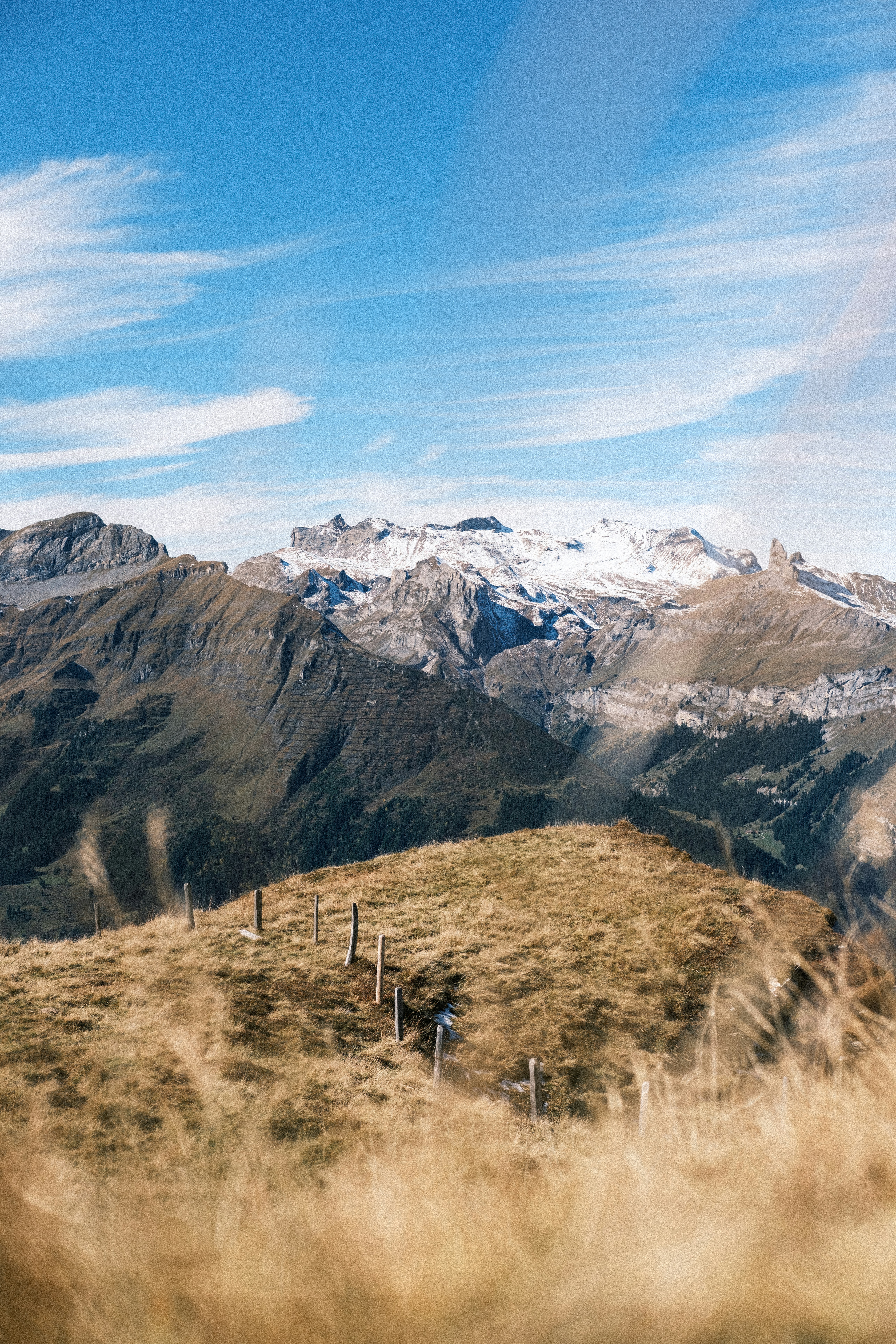 Snow-kissed Peaks from a Golden Hilltop