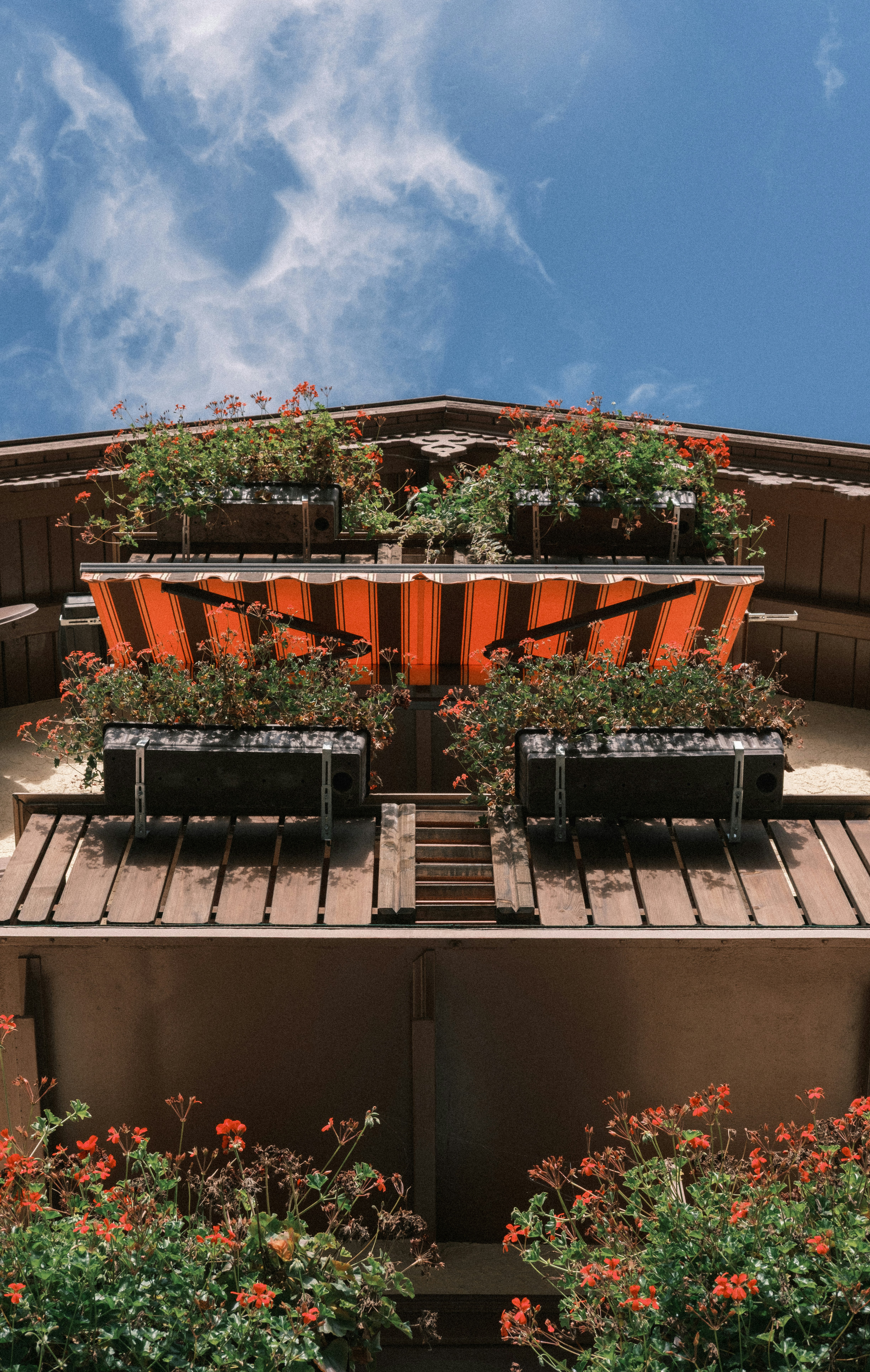 Azure Sky Over Balcony Blooms: A Morning in Warm Orange Stripes