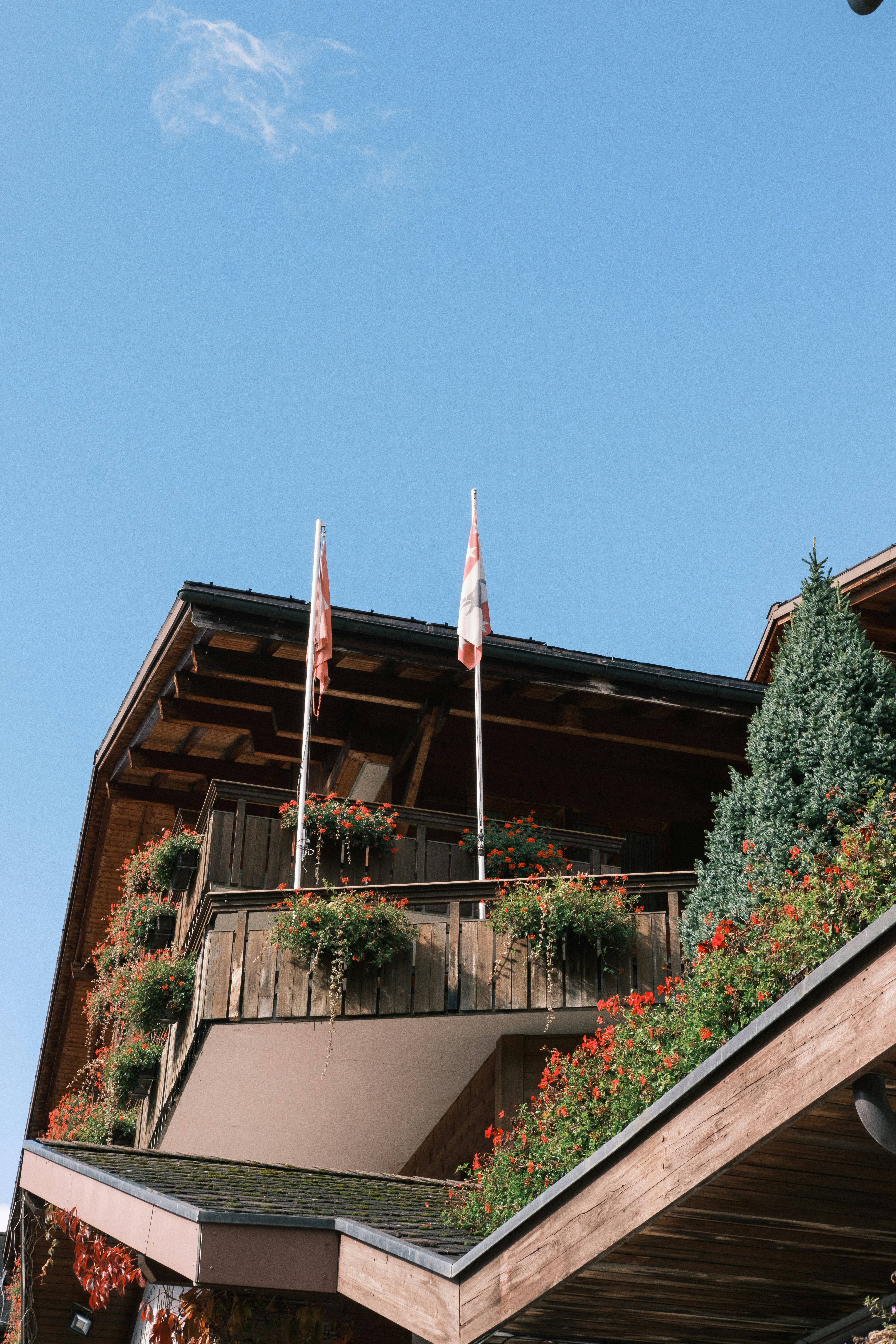 Flower-draped chalet under a clear blue sky