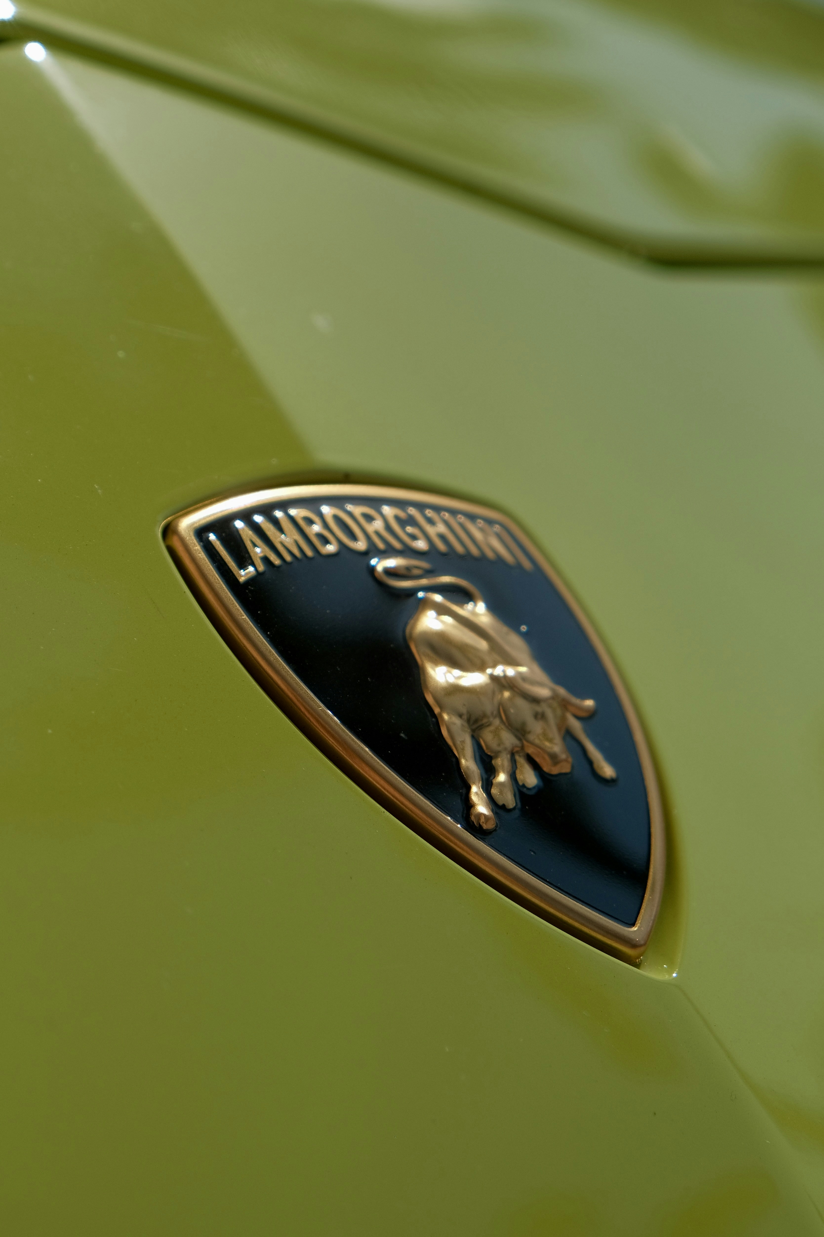 Lamborghini Emblem on Olive Metallic Hood
