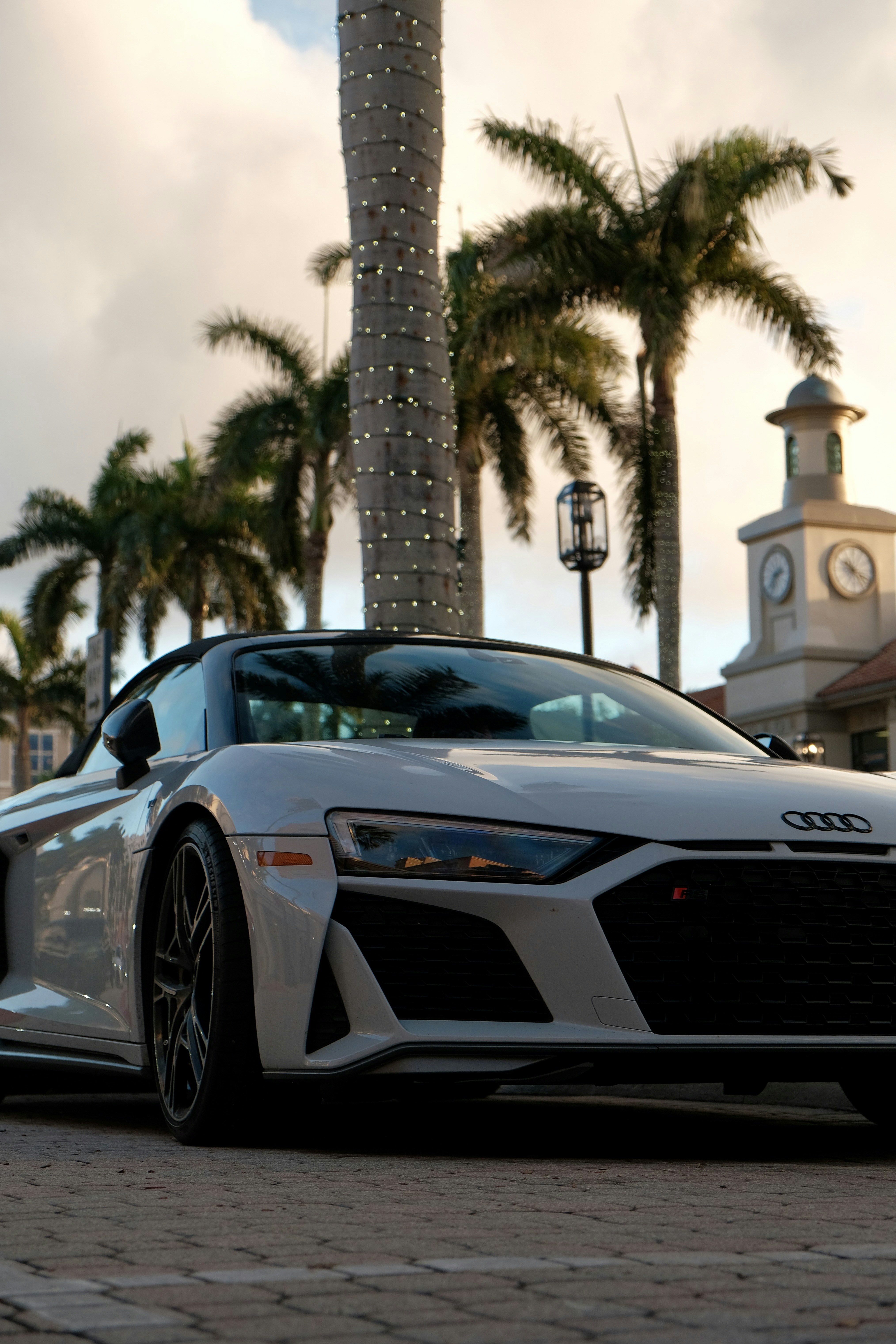 White Audi R8 Low Tilt Under Palm Lights