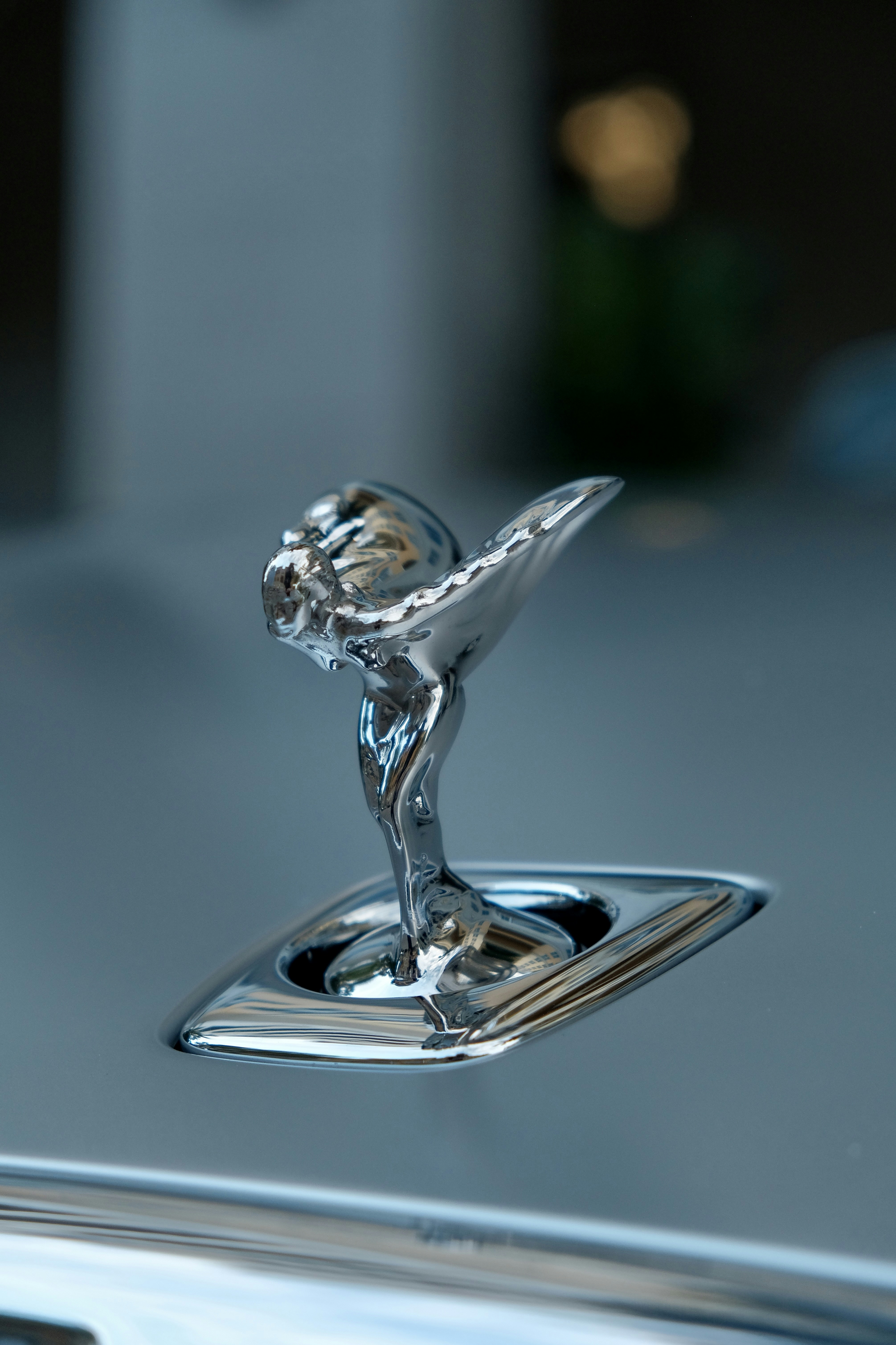 Liquid Grace: The Hooded Bird as a Chrome Icon