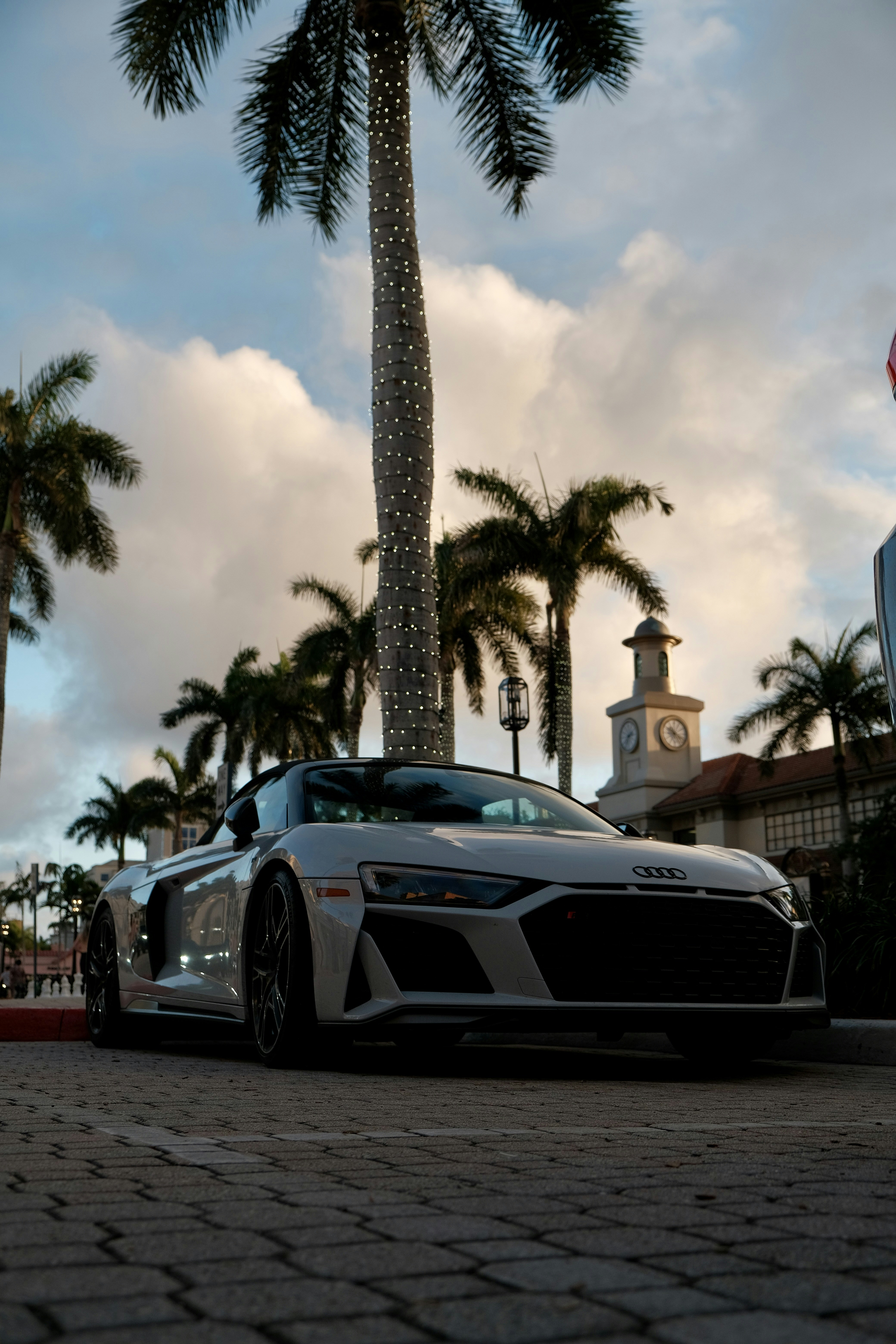 White audi r8 parked under palm trees
