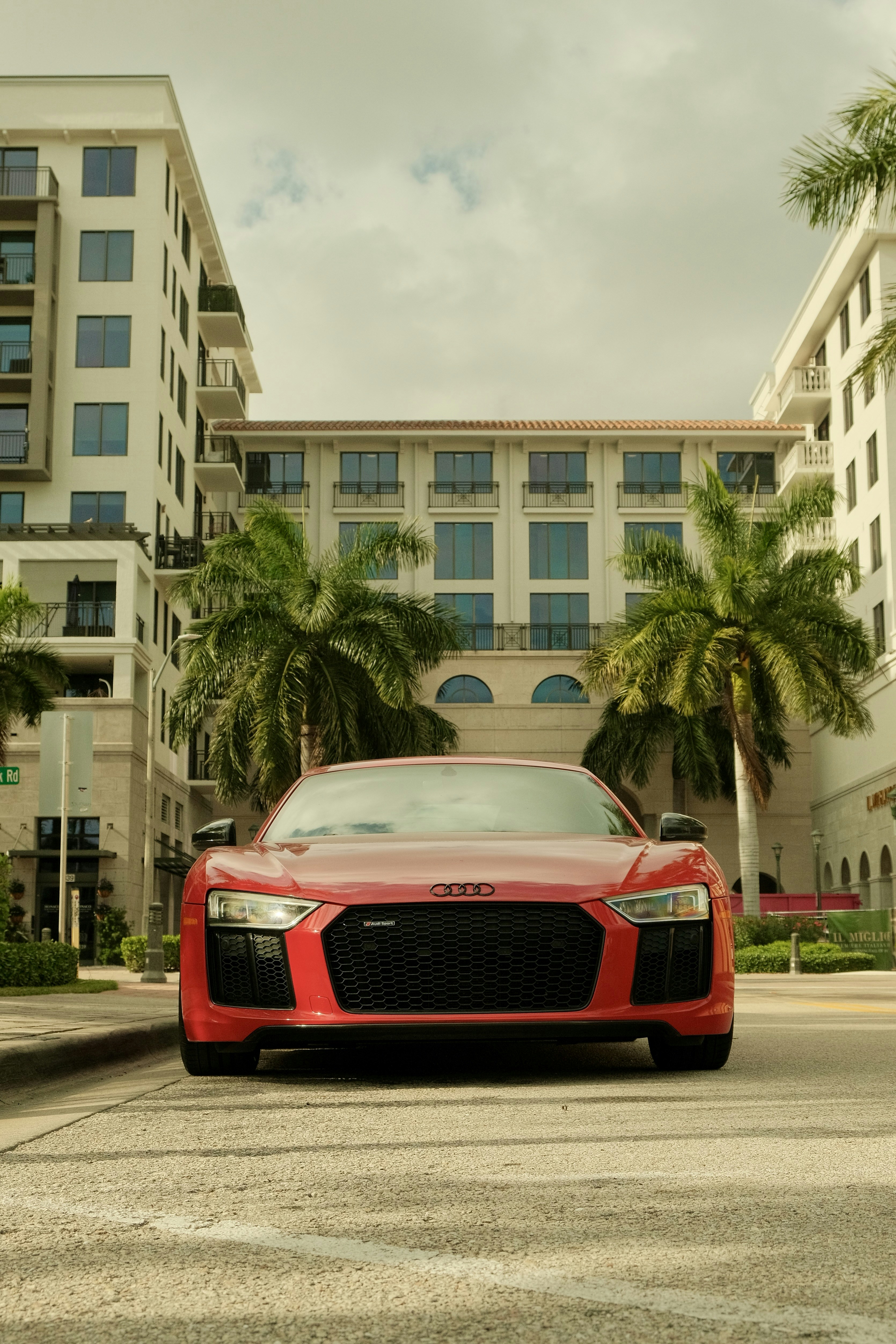 Low-angle Red Burst: A Red Audi Stares Down a Palm-Fringed City