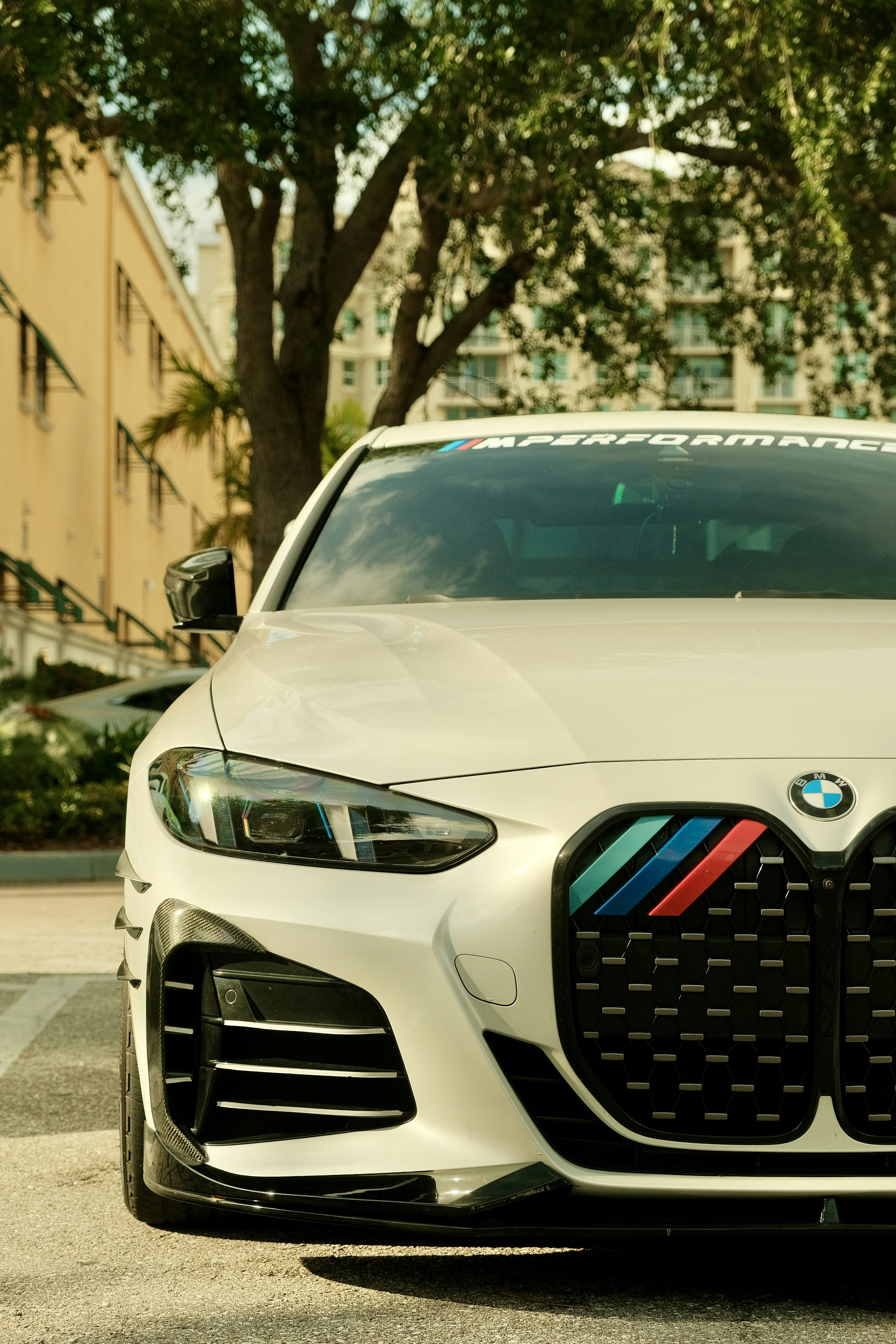 BMW M Performance Grille Zest: A Bold Front in Golden Light