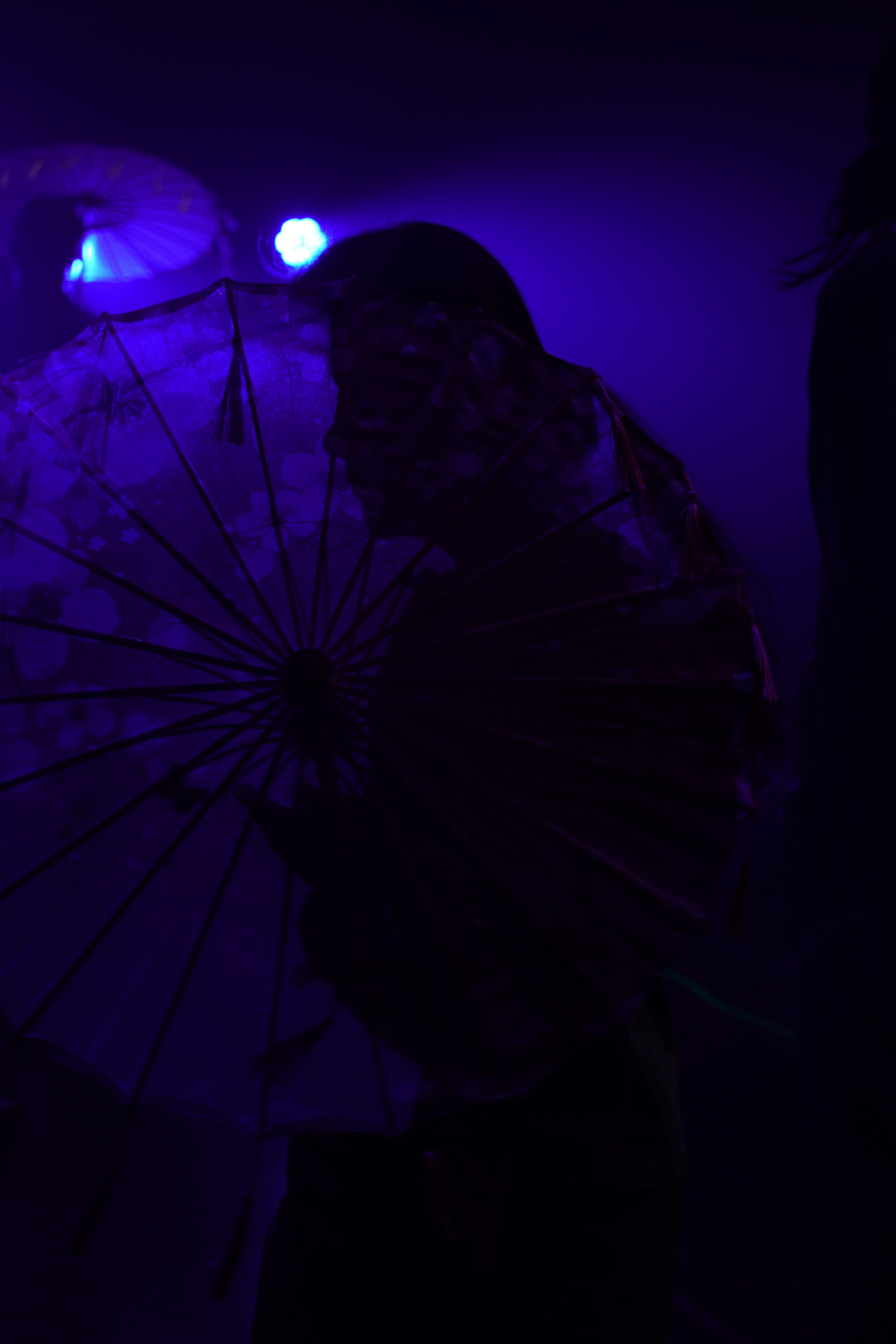 Shadows Behind a Violet Glow: A Silhouetted Moment with Umbrellas
