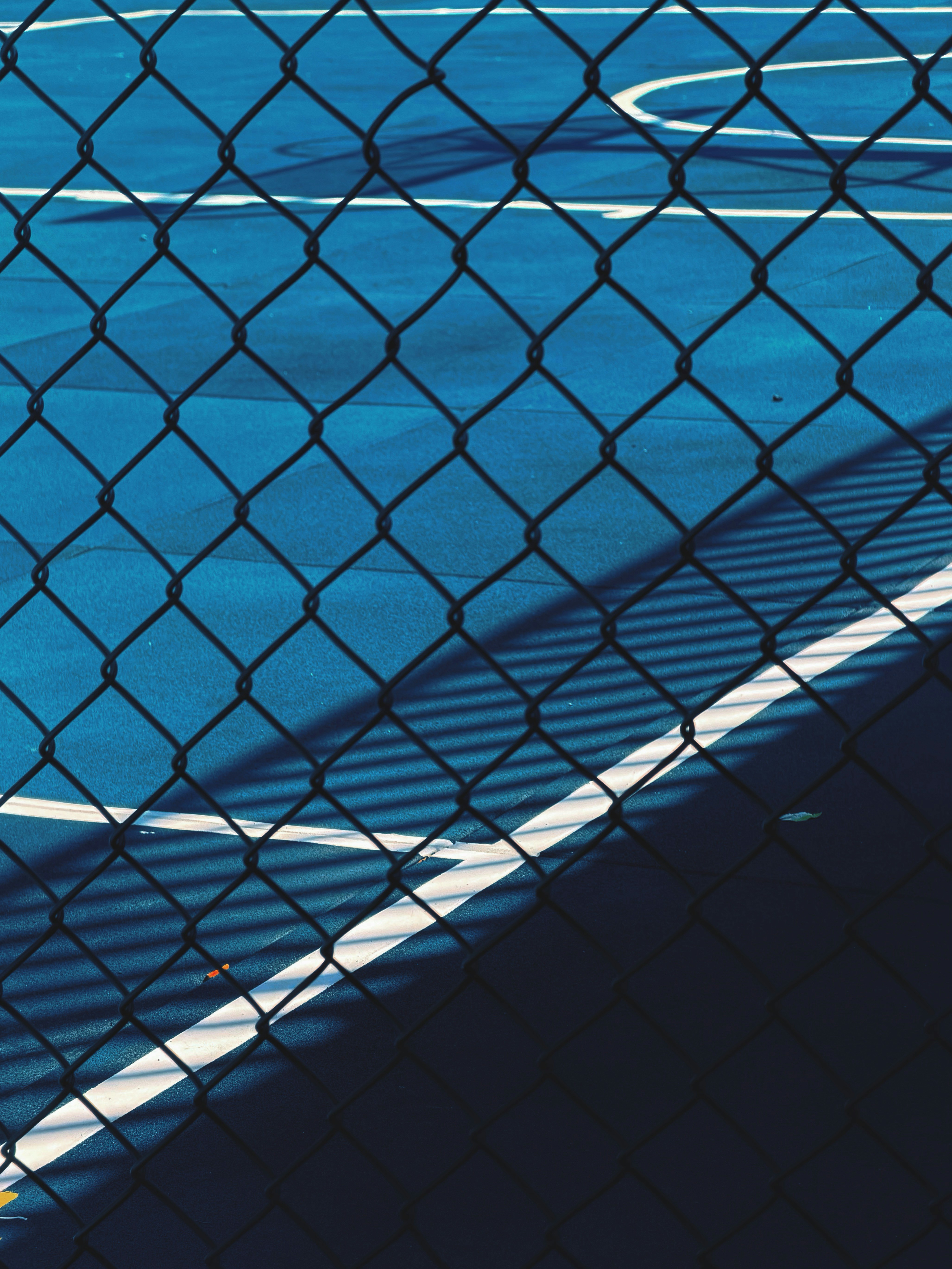 Blue Court Through a Park-Style Chain-Link Mesh