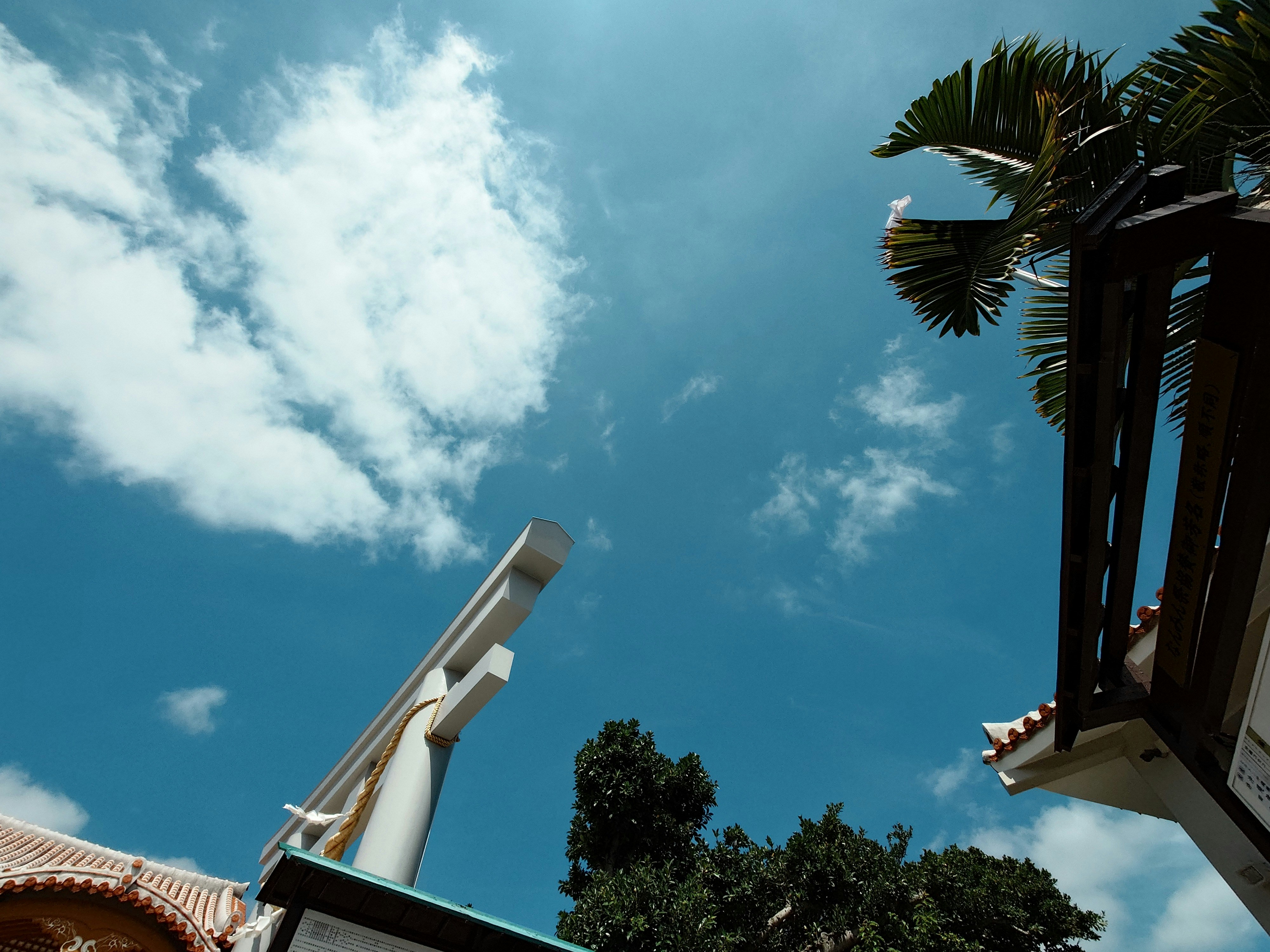 Skyward Lines: A Palm-Framed Ray into Clear Blue