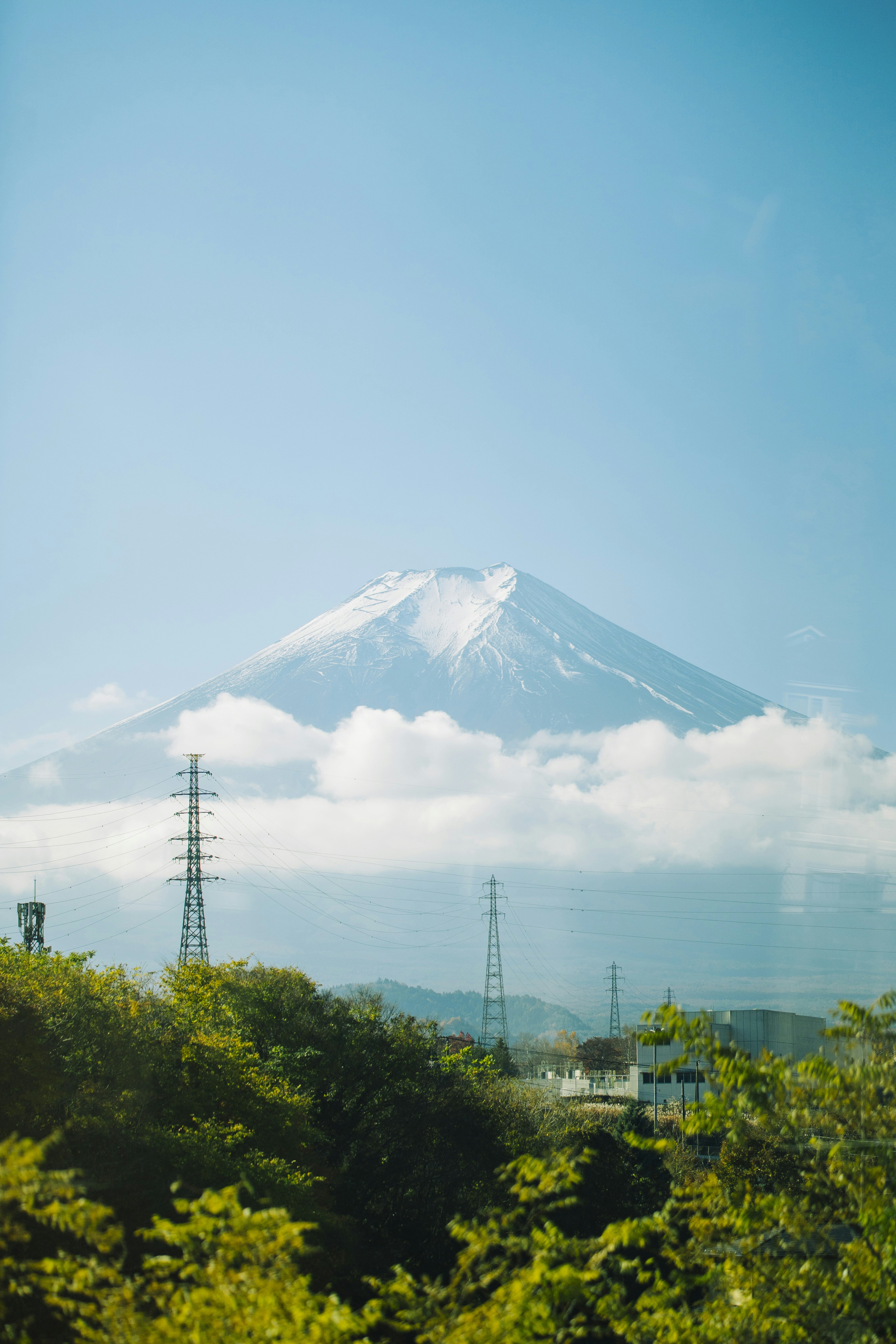 Snow-capped Peak Above Suburban Green