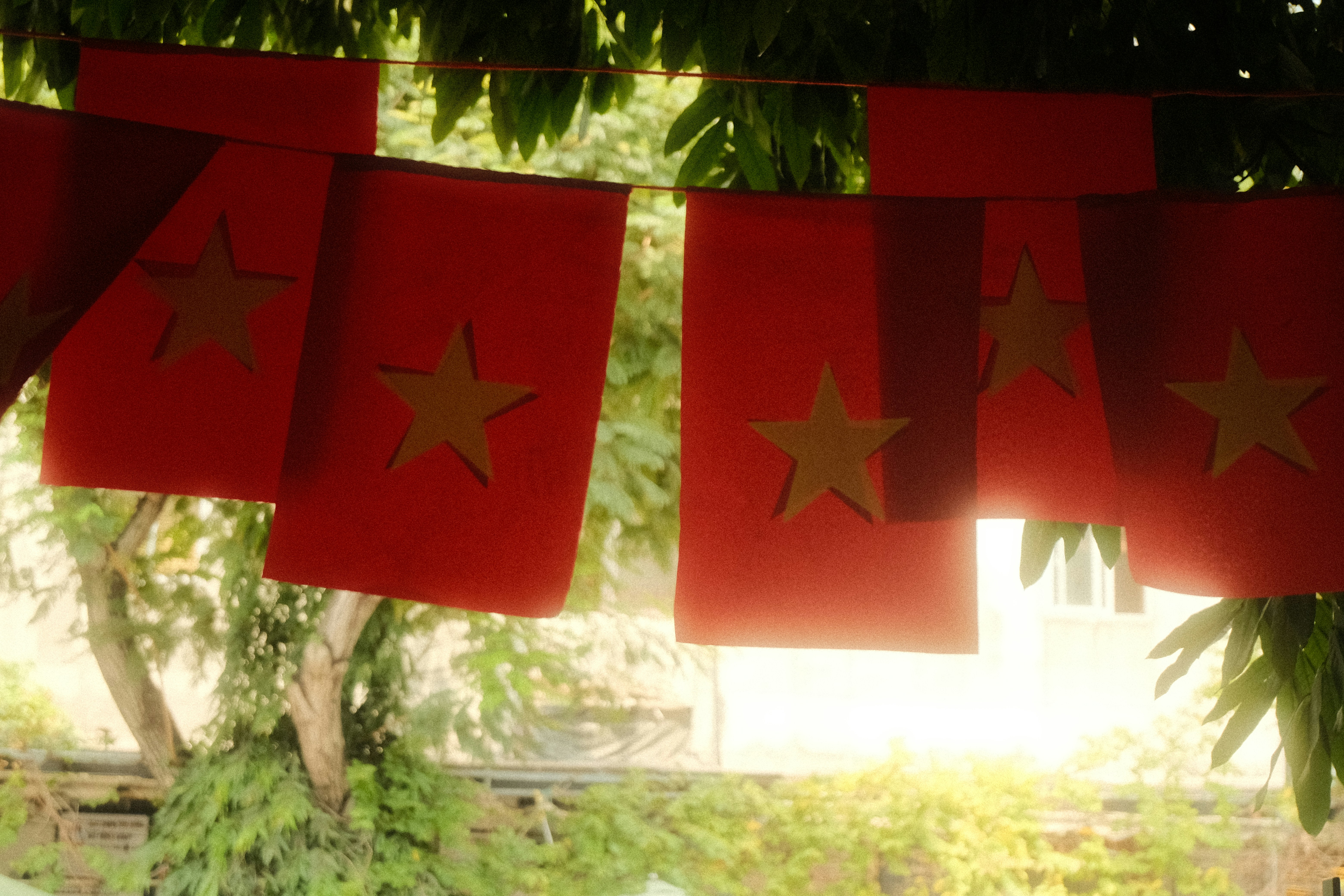 Scarlet Flags on a Quiet Line
