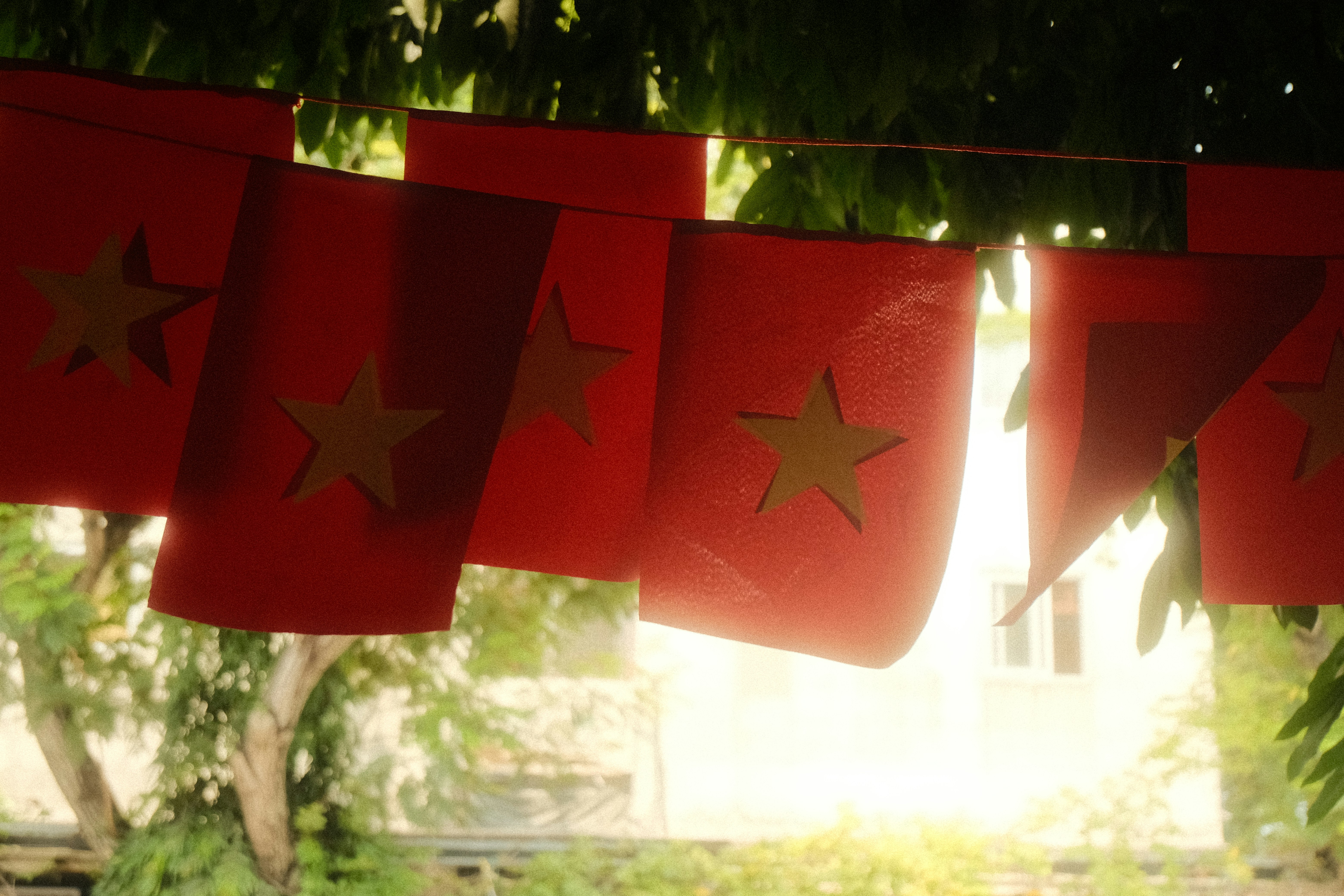 Sunlit Red Flags: A Row of Lanterns Against a Soft Green Backdrop