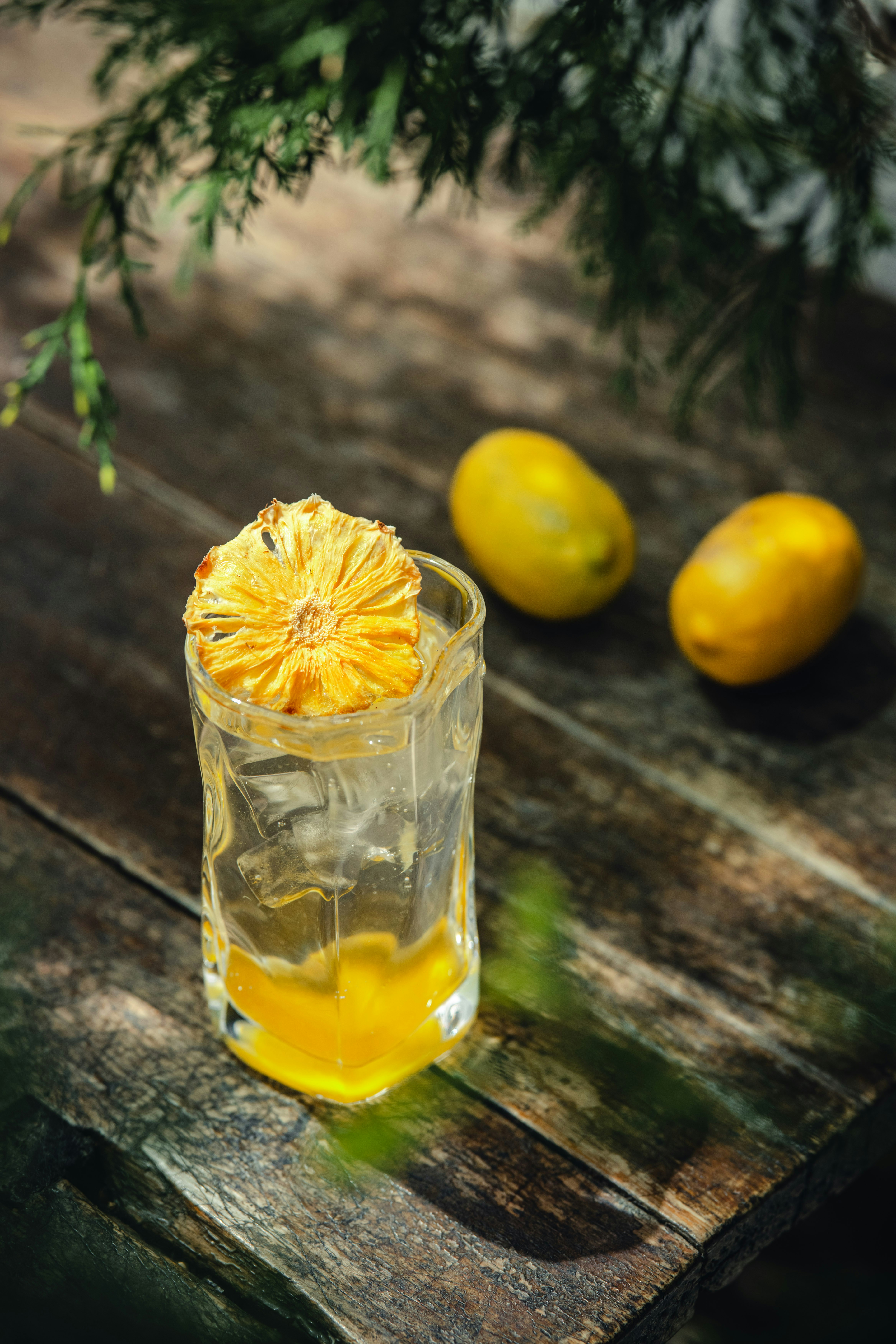 Citrus Glow: A Dried-Orange Garnish Resting on Refreshing Glass