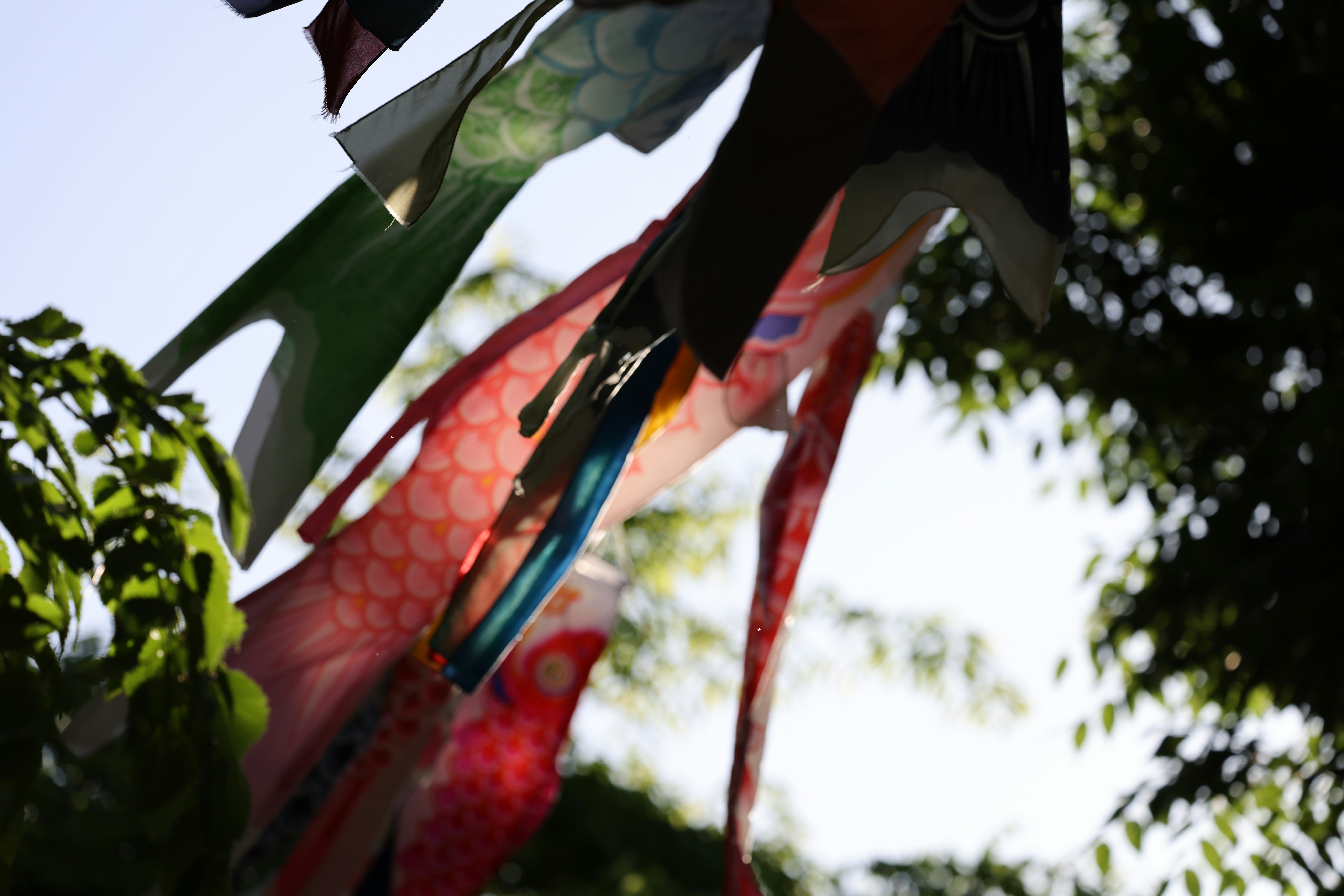 Prayer Flags in dappled sunlight