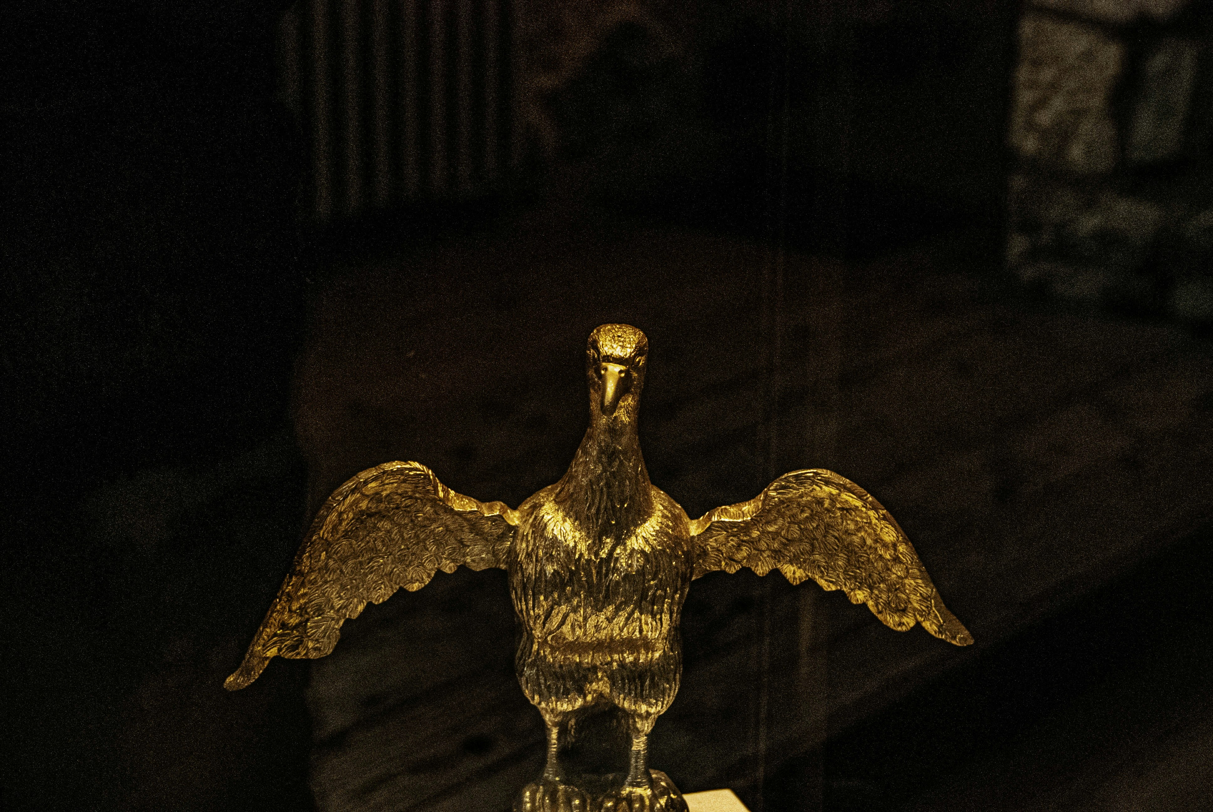 Golden Eagle Sculpture Lit by Night Spotlight