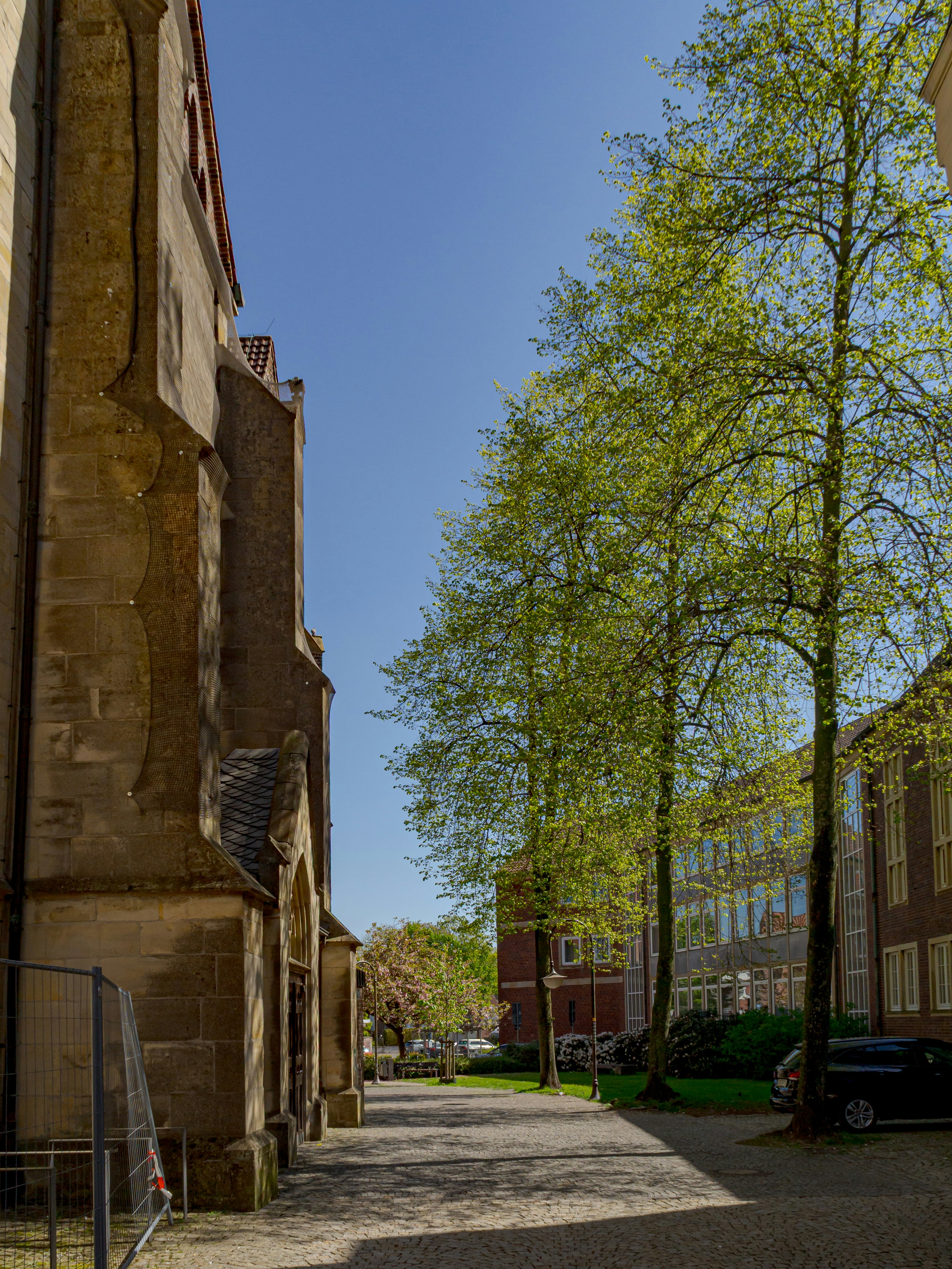 Sunlit Campus Pathway: A Quiet Corridor Between Stone and Glass