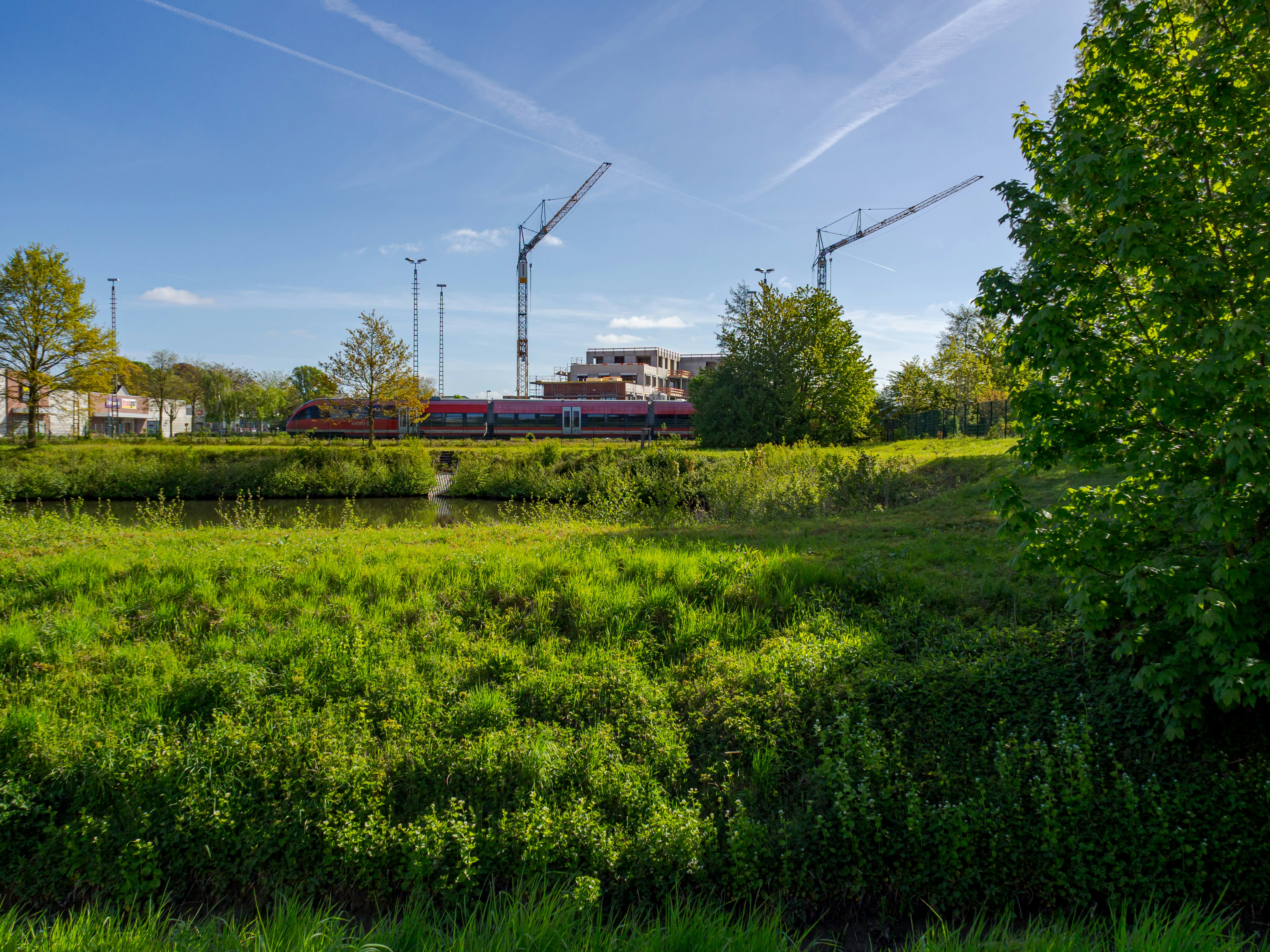 Locomotive in Transit: Crane-lined Horizon over a Verdant Field