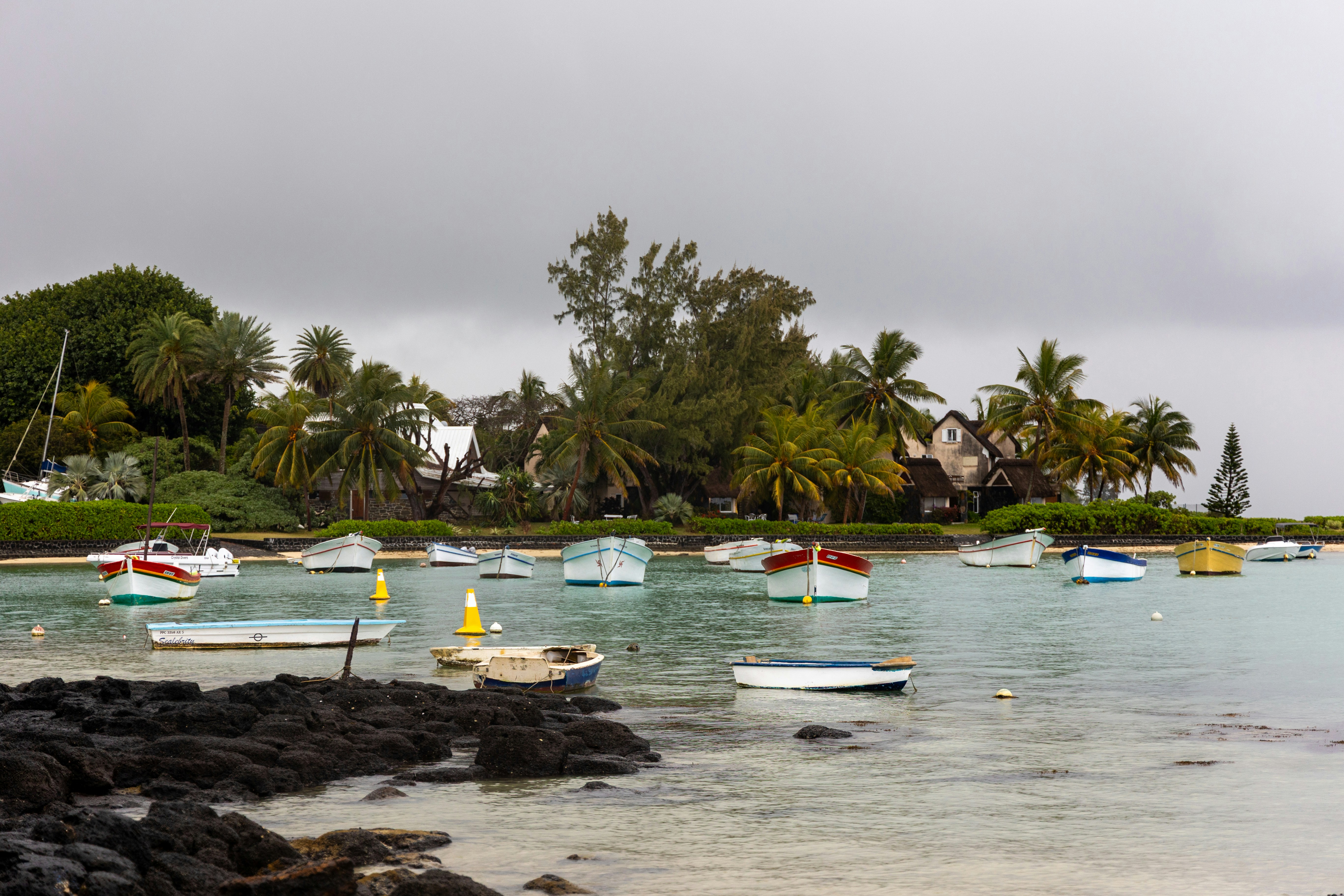 Harbor Quiet: Boats Rest along a Tidal Shore