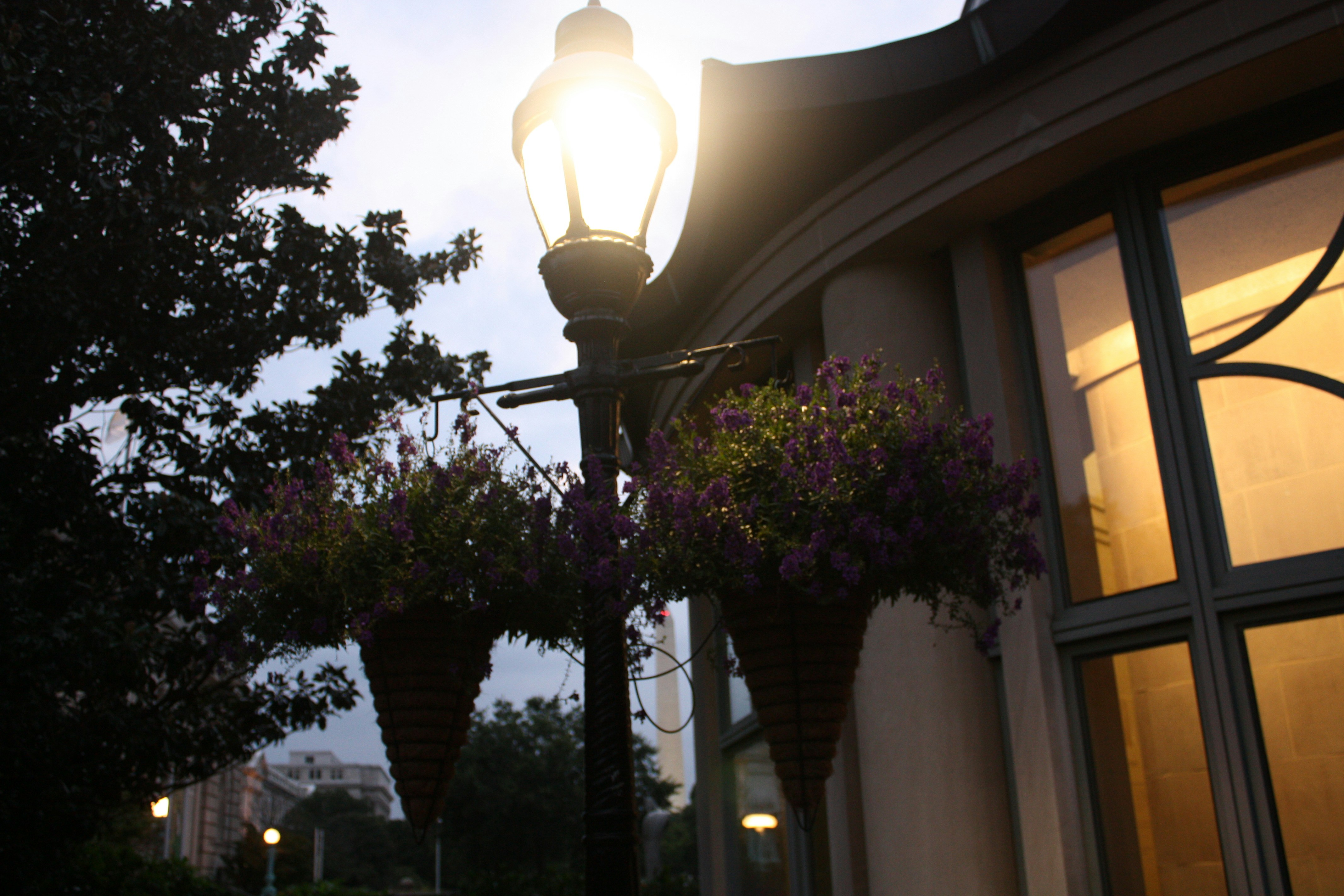 Evening street lamp glows beside hanging baskets and a warmly lit storefront window. The scene captures a dim urban exterior with soft dusk light and fading details.