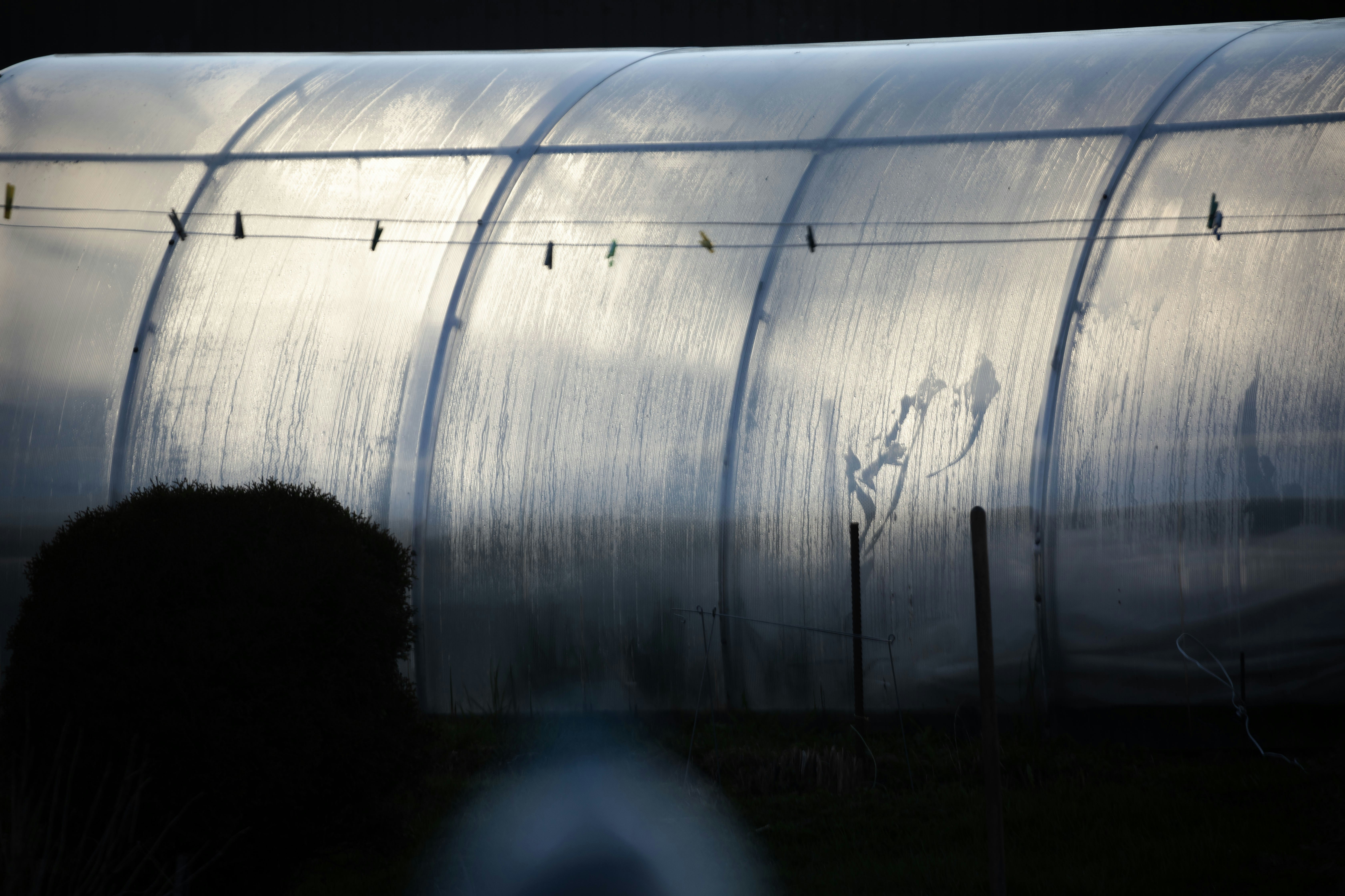 Silvery Archways: Light, Shadow, and Quilted Glass
