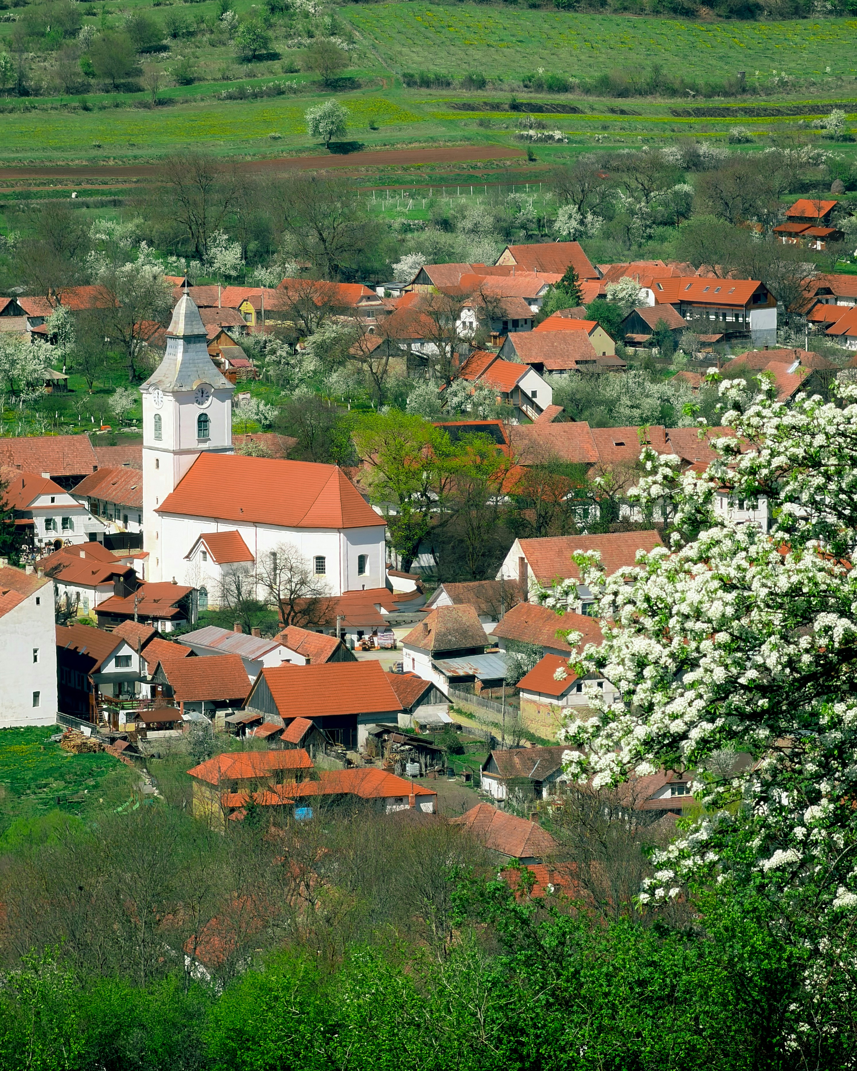 White Church on the Red Roofed Hill: A Tidy European Village