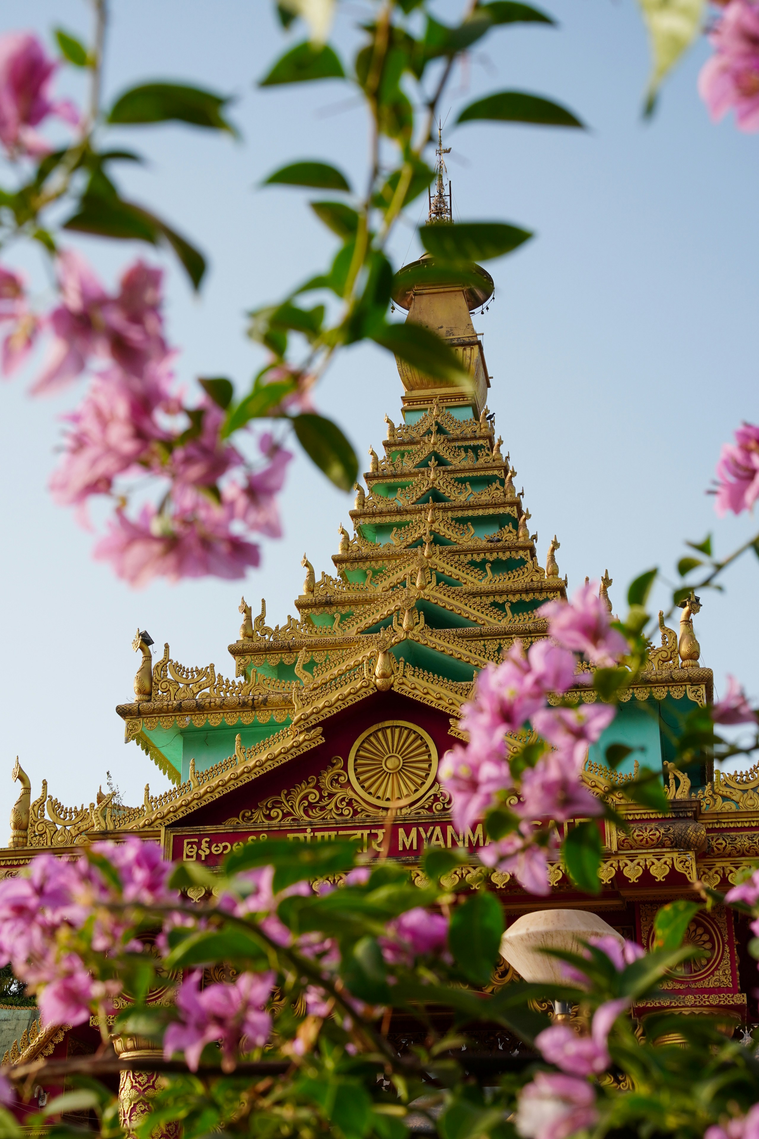 Ornate Spire Framed by Pink Blooms