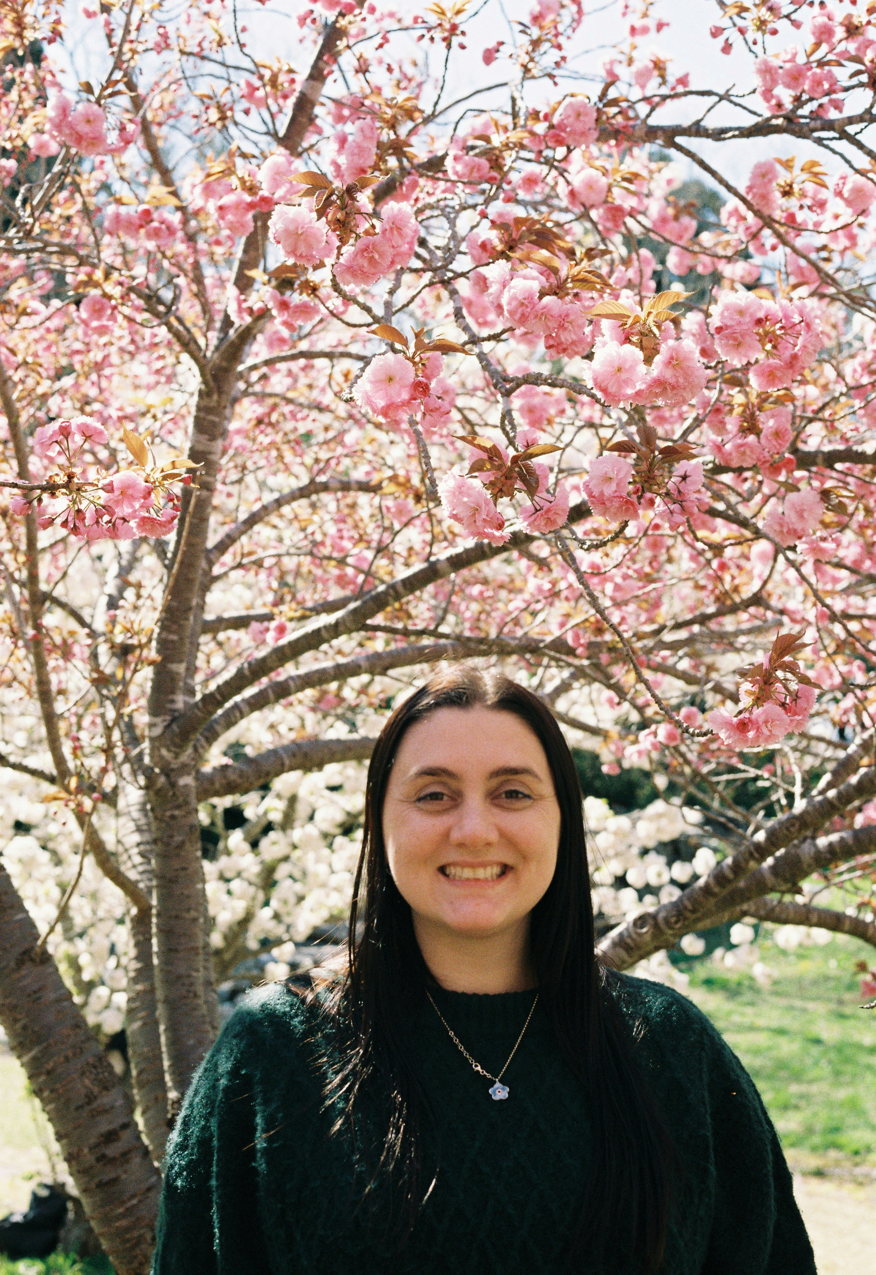 Blossom Portrait Under a Pink Sky