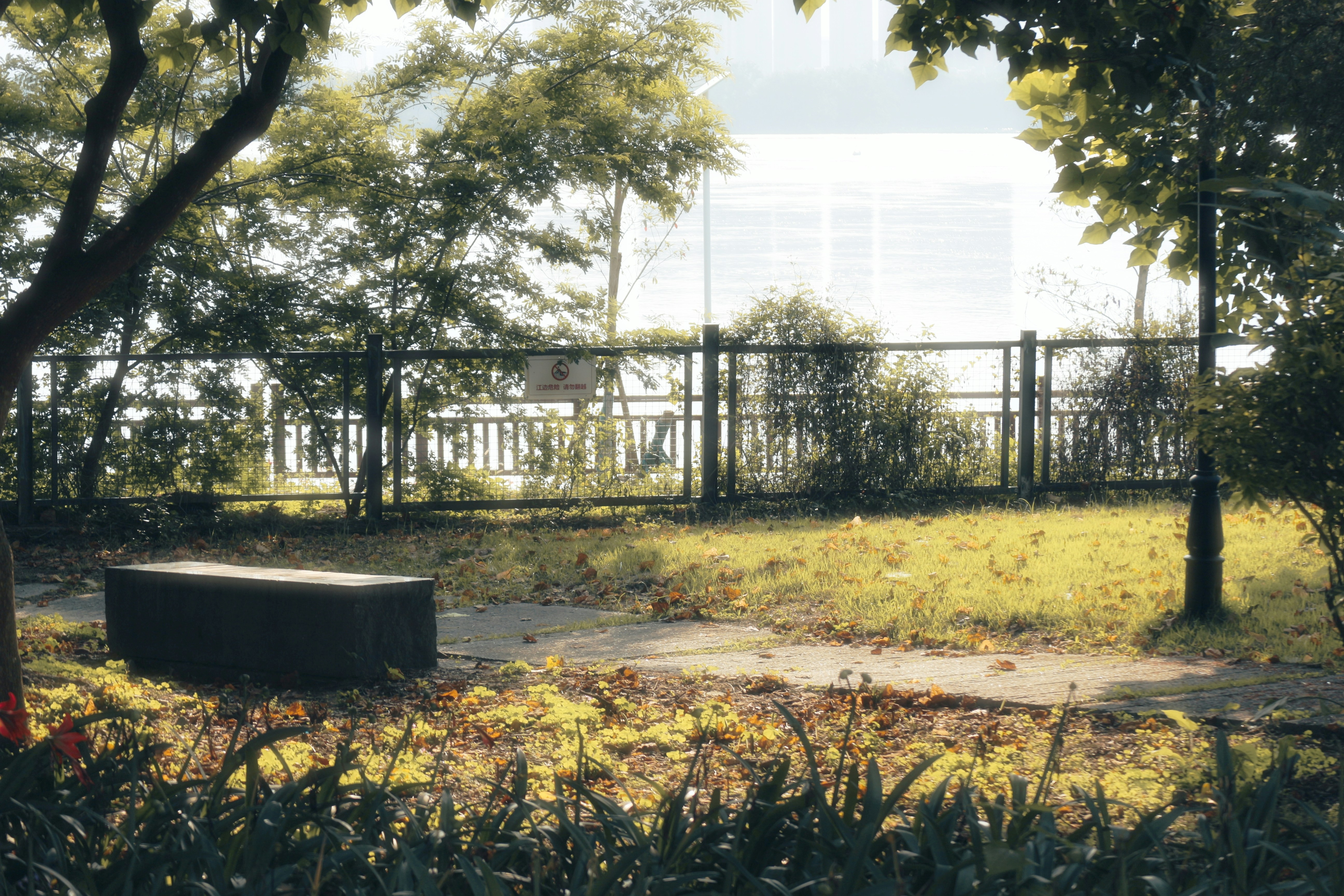 Park scene with a lone bench along a path, dappled sunlight filtering through trees and fallen leaves on the ground, a metal fence in the background and low-contrast foreground plants.