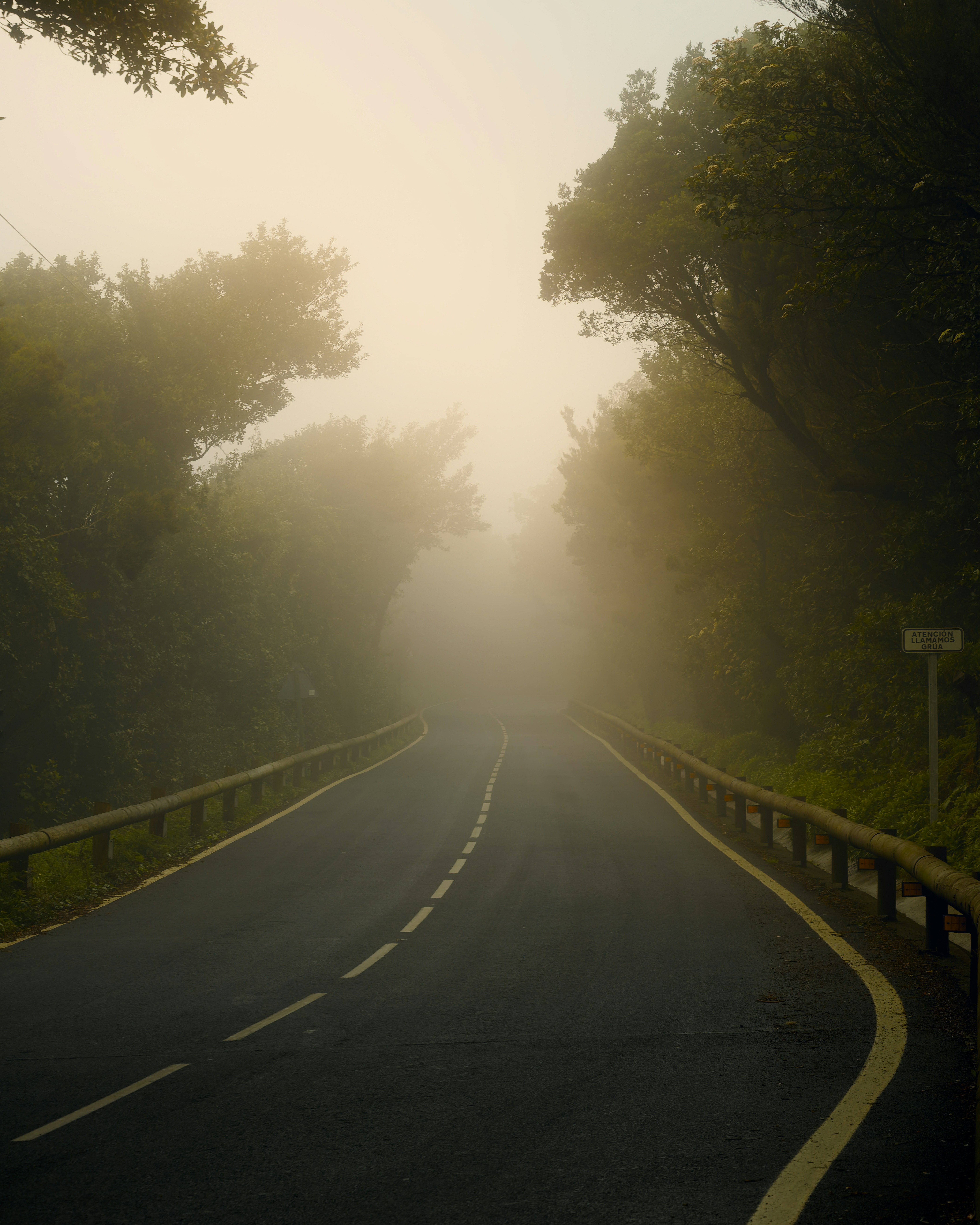 Misty Road to Quiet Horizons