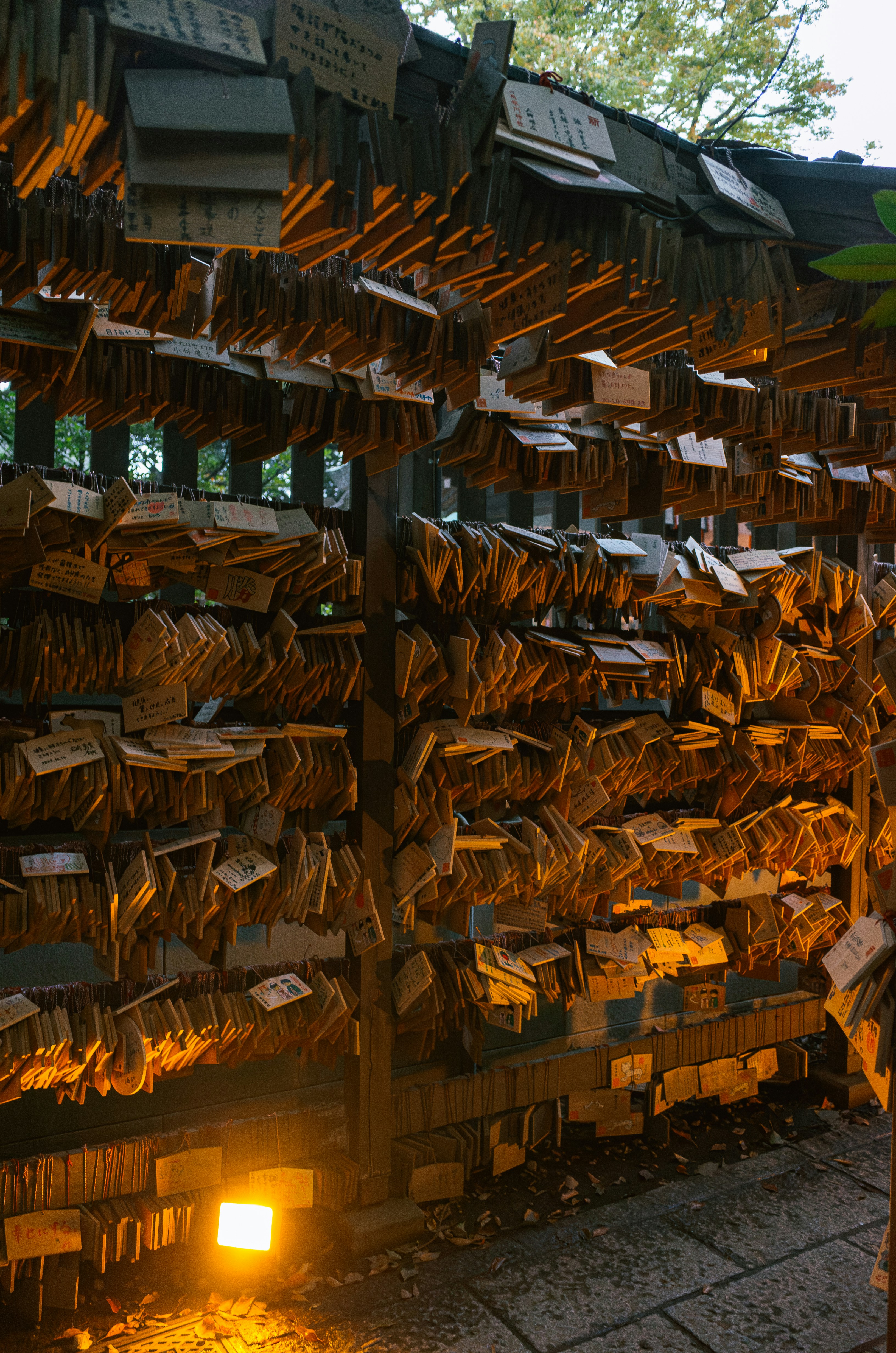 Whispers of Wishes: A Lantern-Lit Terrace of Ema Cards