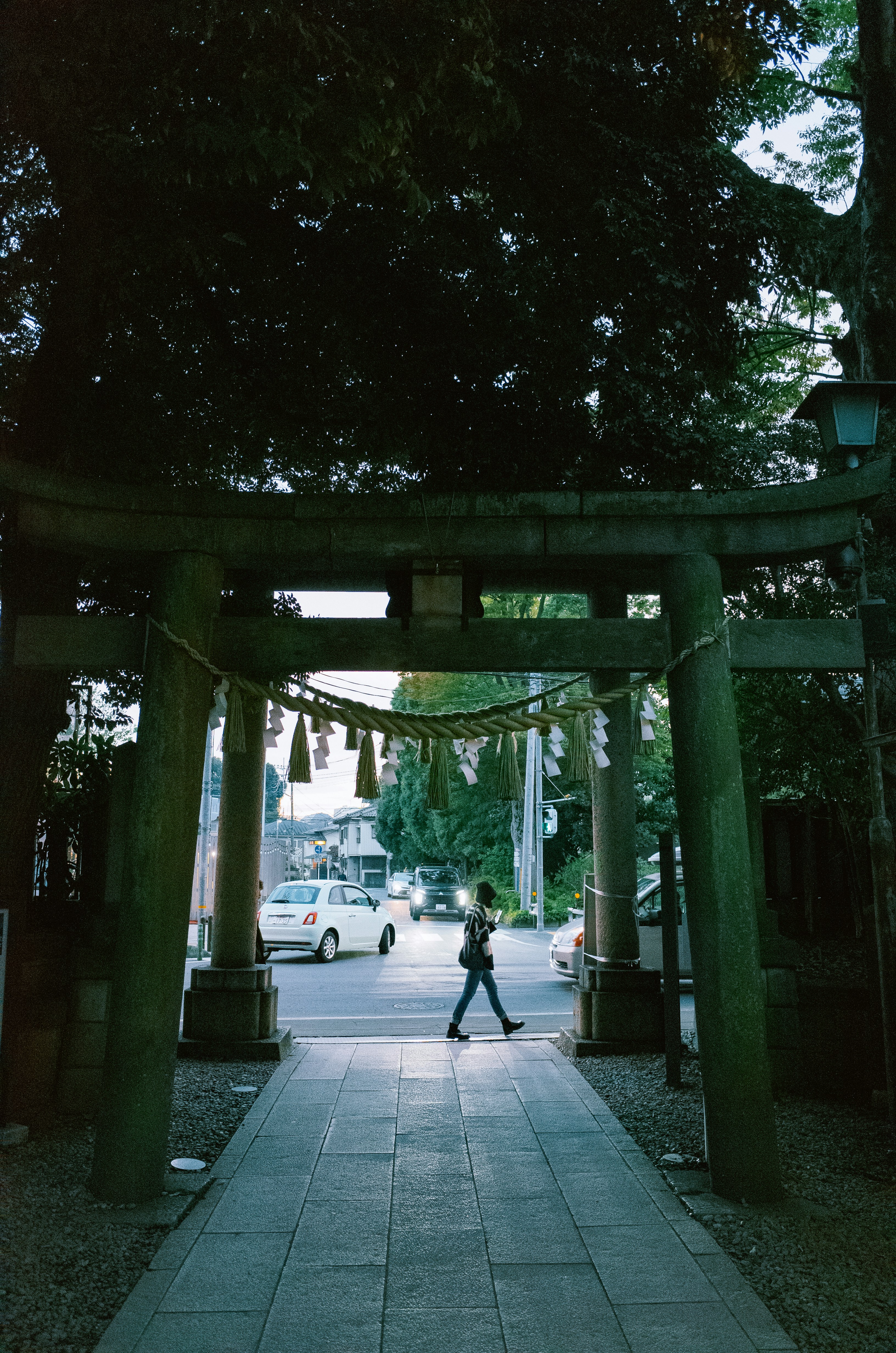 Torii Gate Crossing: A Pedestrian Silhouette in the Shaded Approach