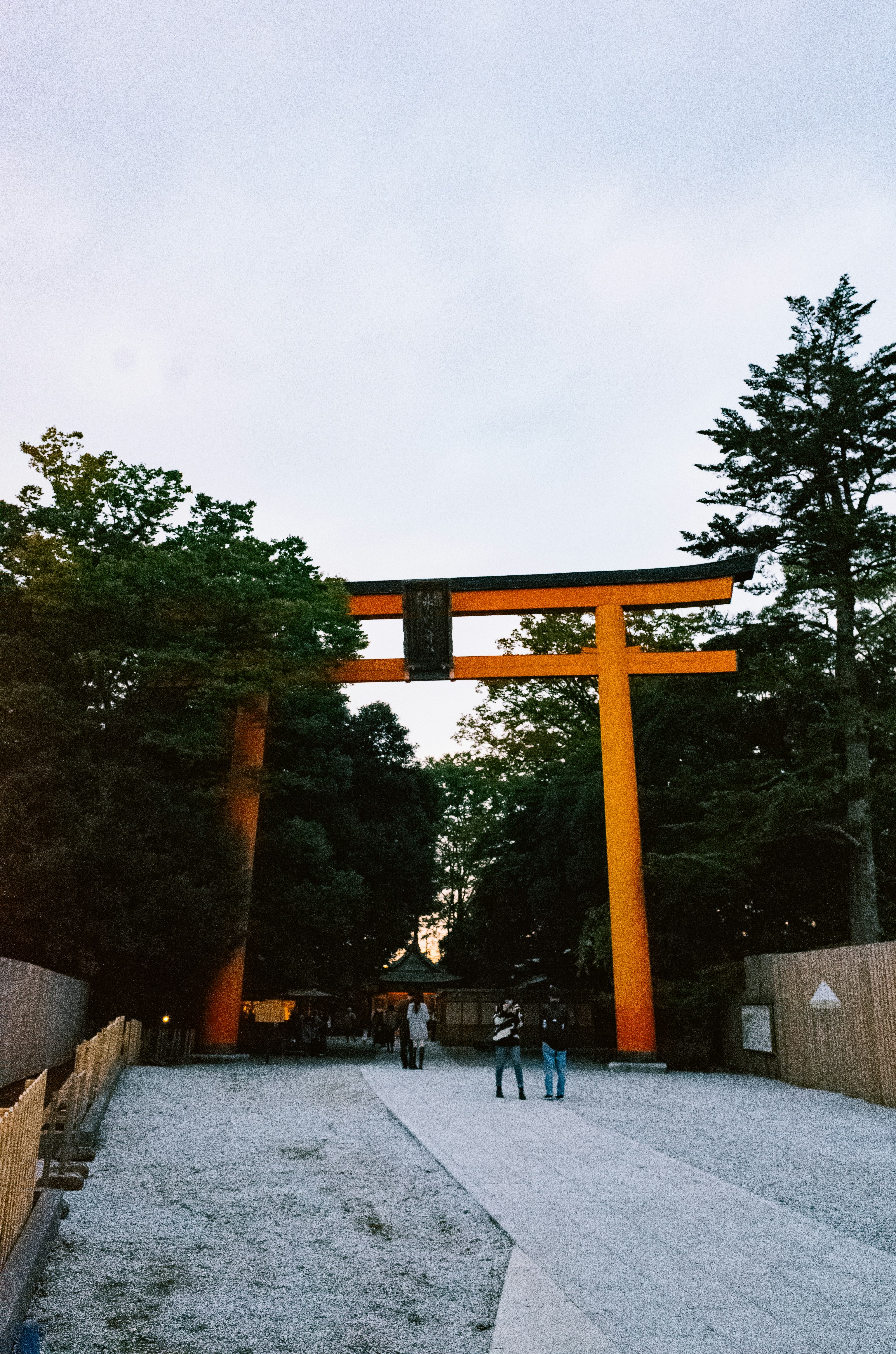 Gateway to Tranquility: A Scarlet Torii Framing a Quiet Path