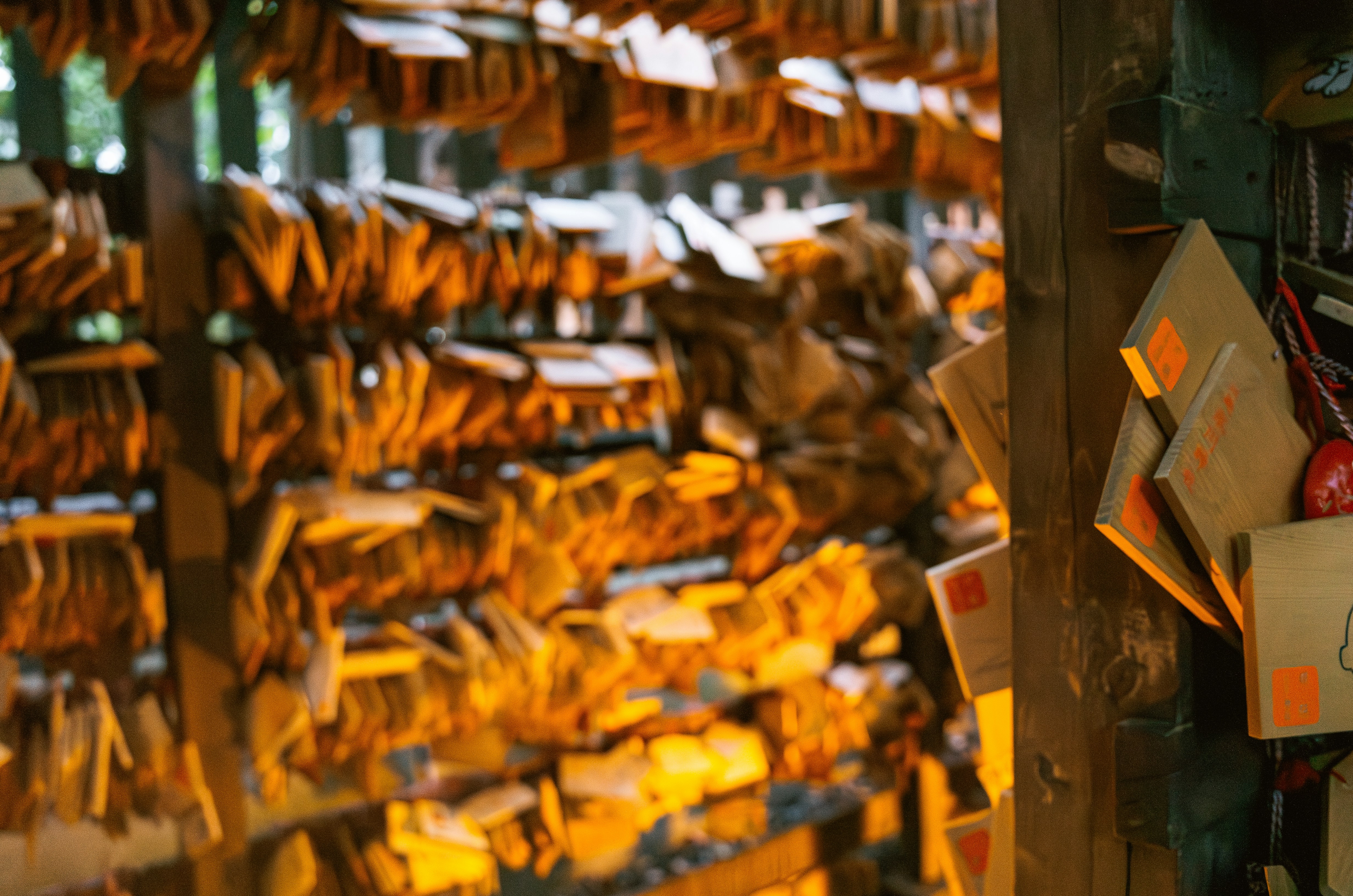 Warm Tangles: Floating Leaves and Reading Wall