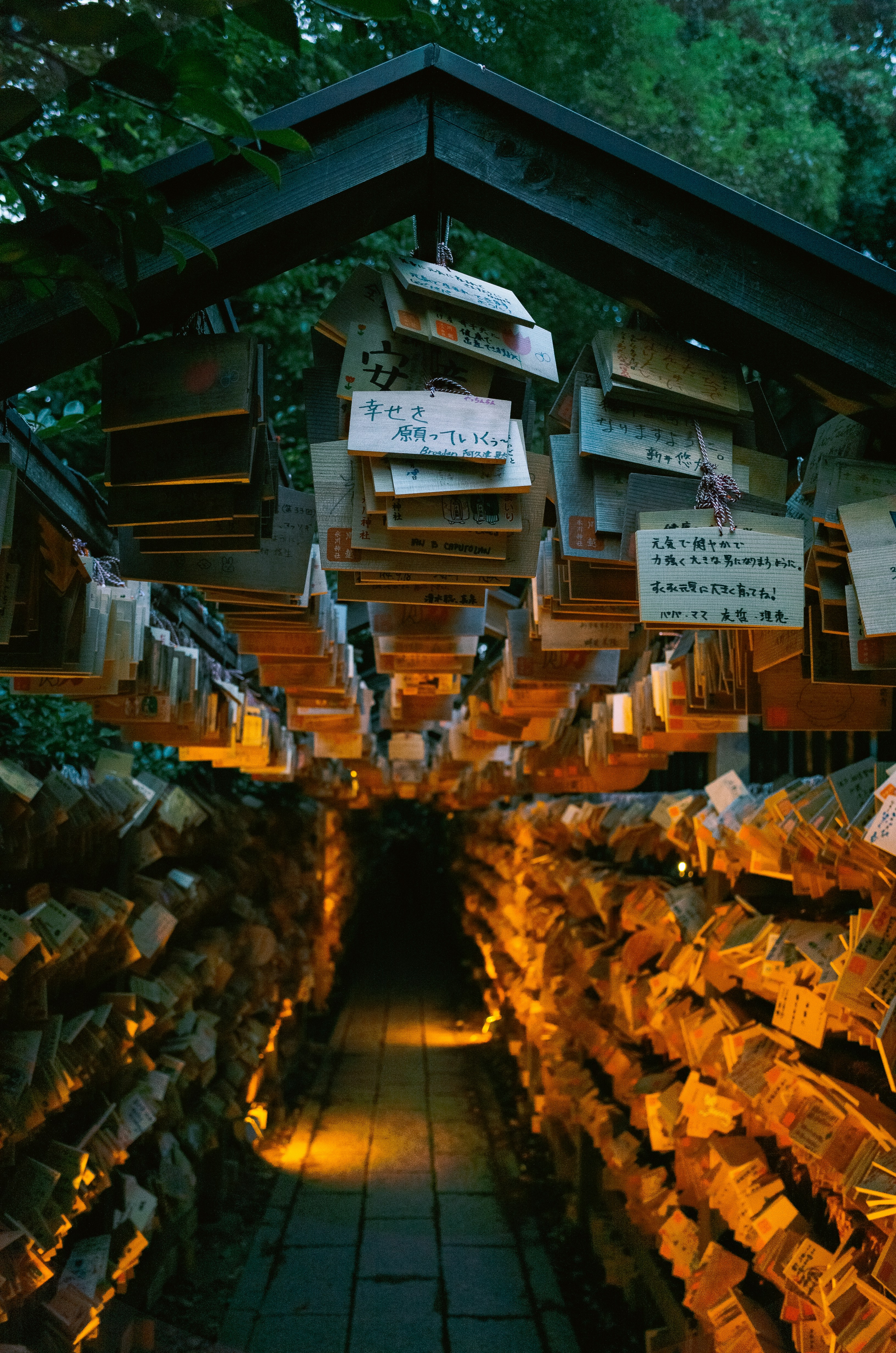 Lanterns of Wishes: A Corridor of Paper Prayers