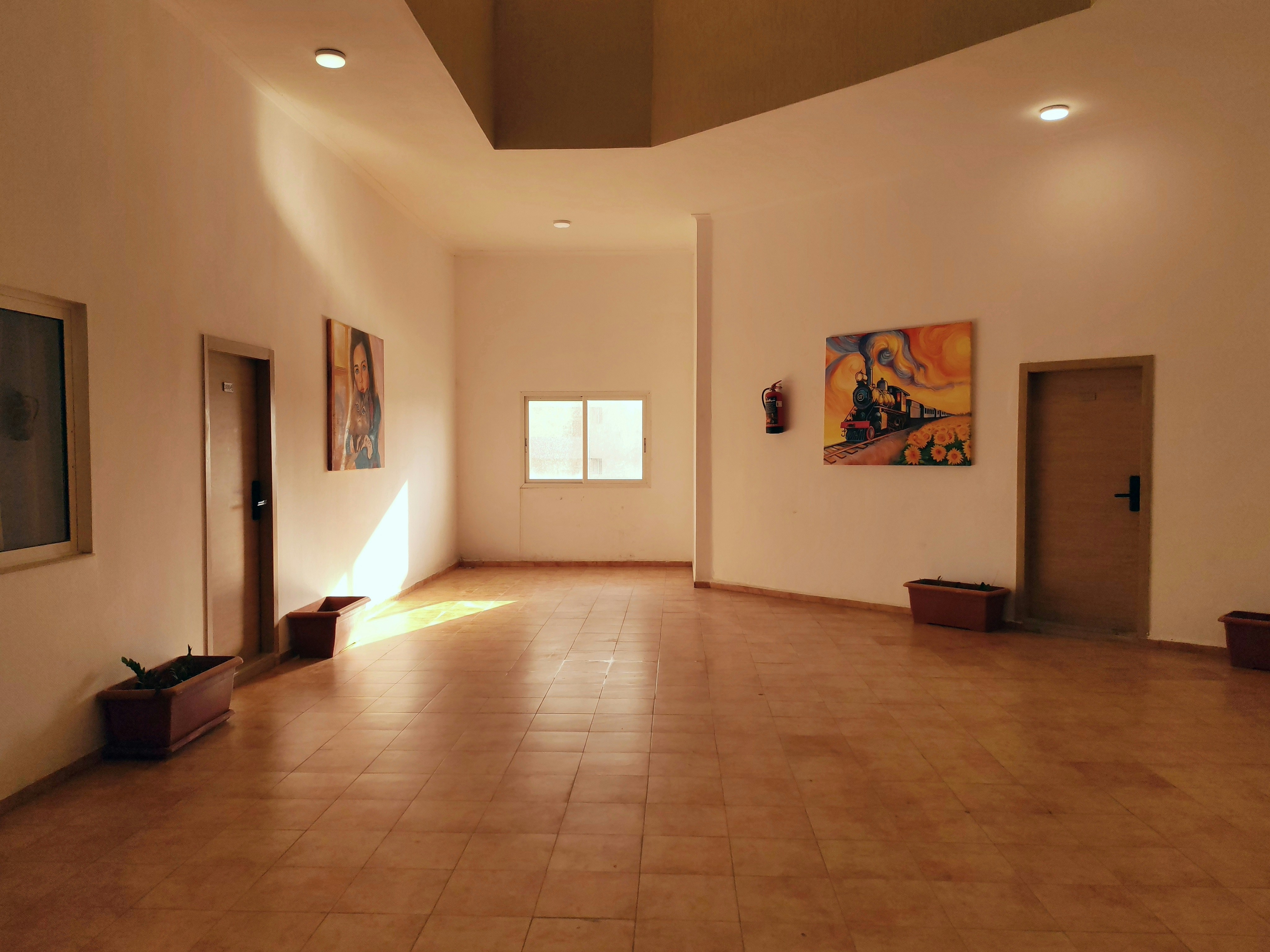 Quiet Gallery Room with Soft Light Casting Long Shadows