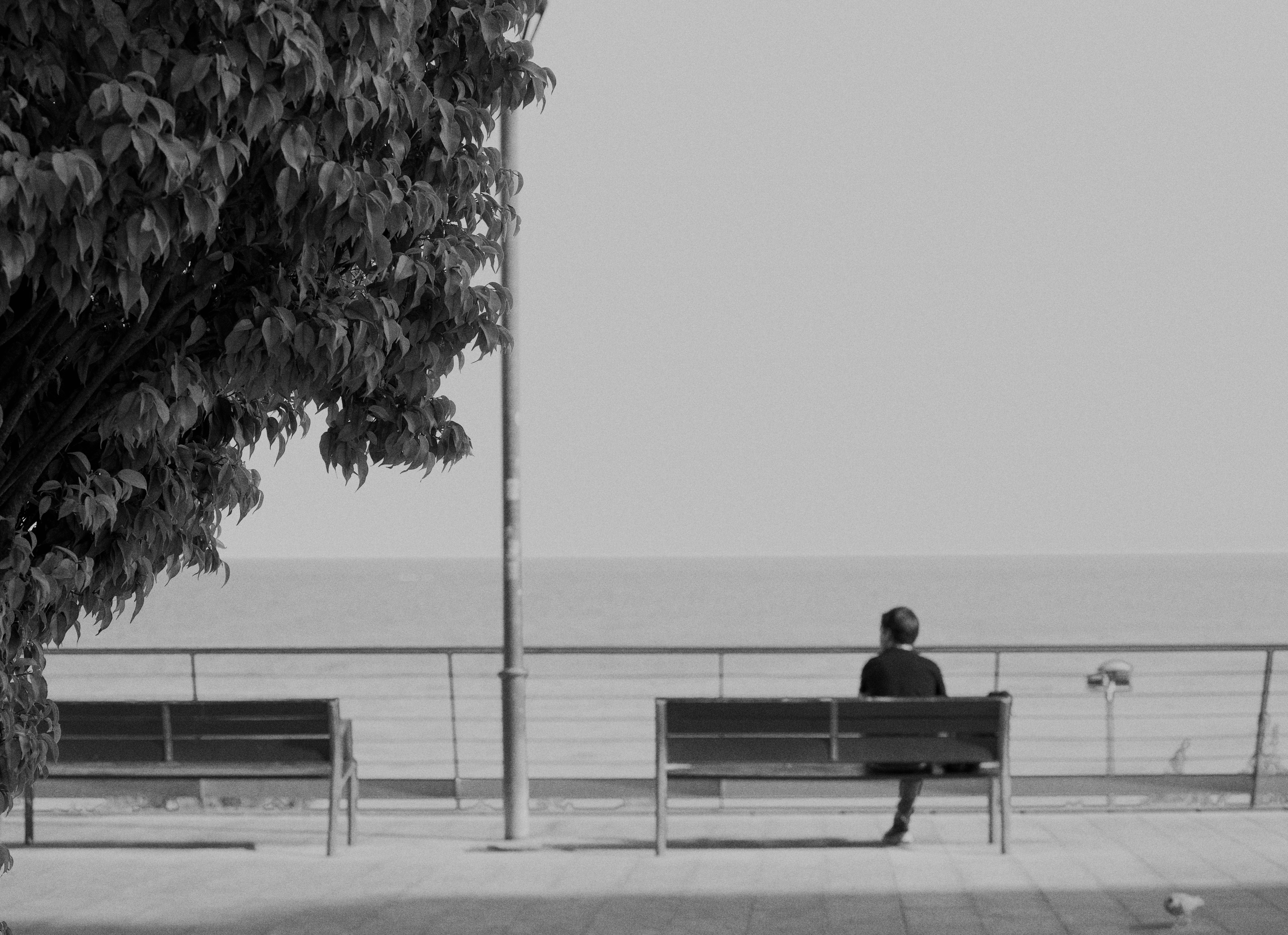 Solitary Seat: A Quiet Moment by the Sea