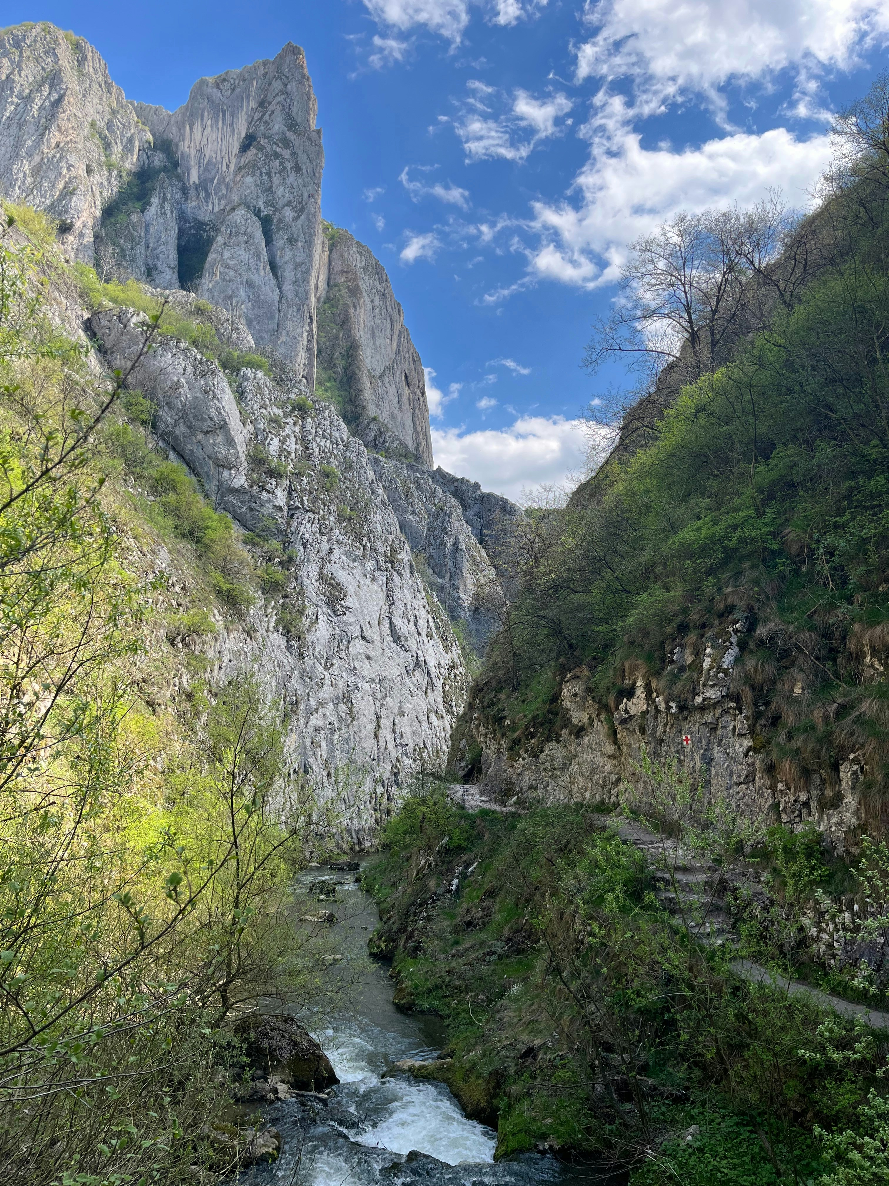 Rugged Gorge Overlook: A Craggy Ascent Beside a Torrent